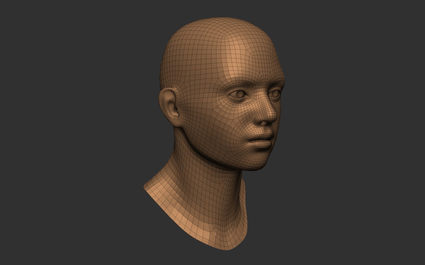 Female Head Base Mesh 3D Model - TurboSquid 1805759
