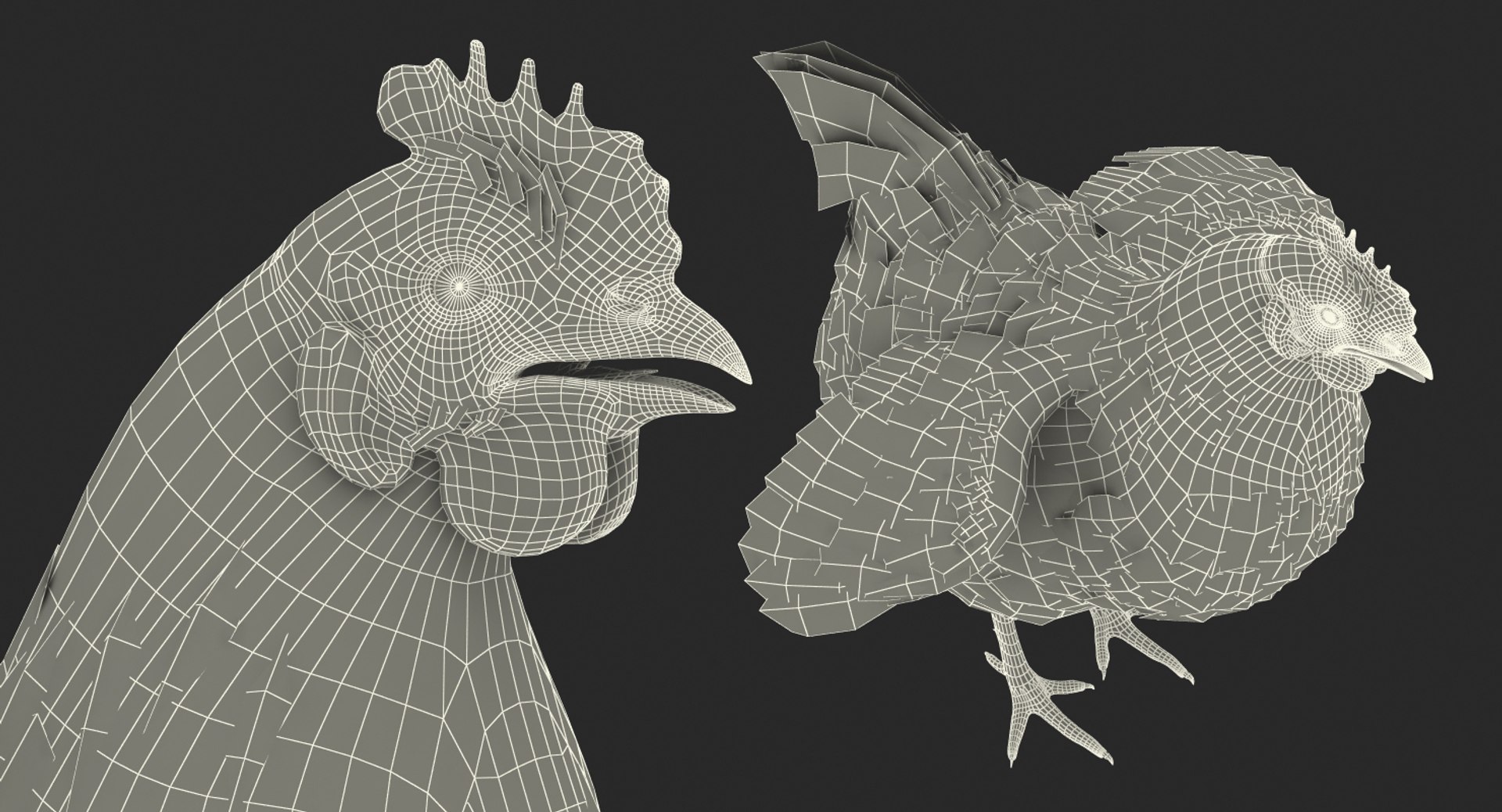 Chicken realistic 3D model - TurboSquid 1150605