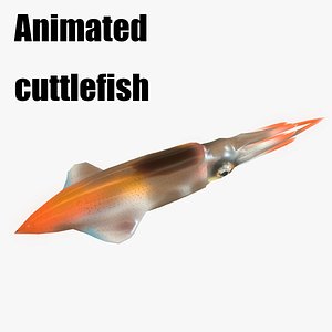 3D Cuttlefish Models | TurboSquid