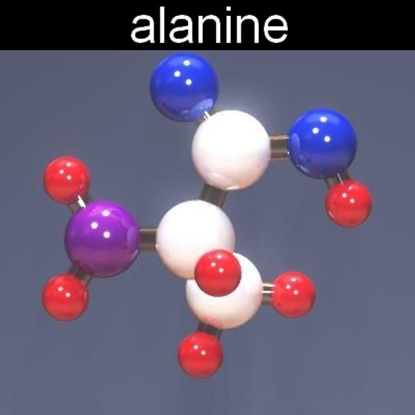 3D Alanine Models | TurboSquid