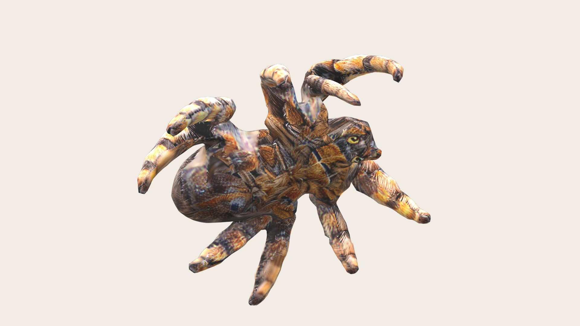 3D Model Tarantula Spider - TurboSquid 2219650