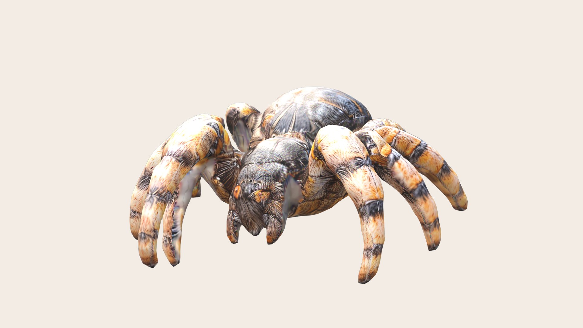 3D Model Tarantula Spider - TurboSquid 2219650