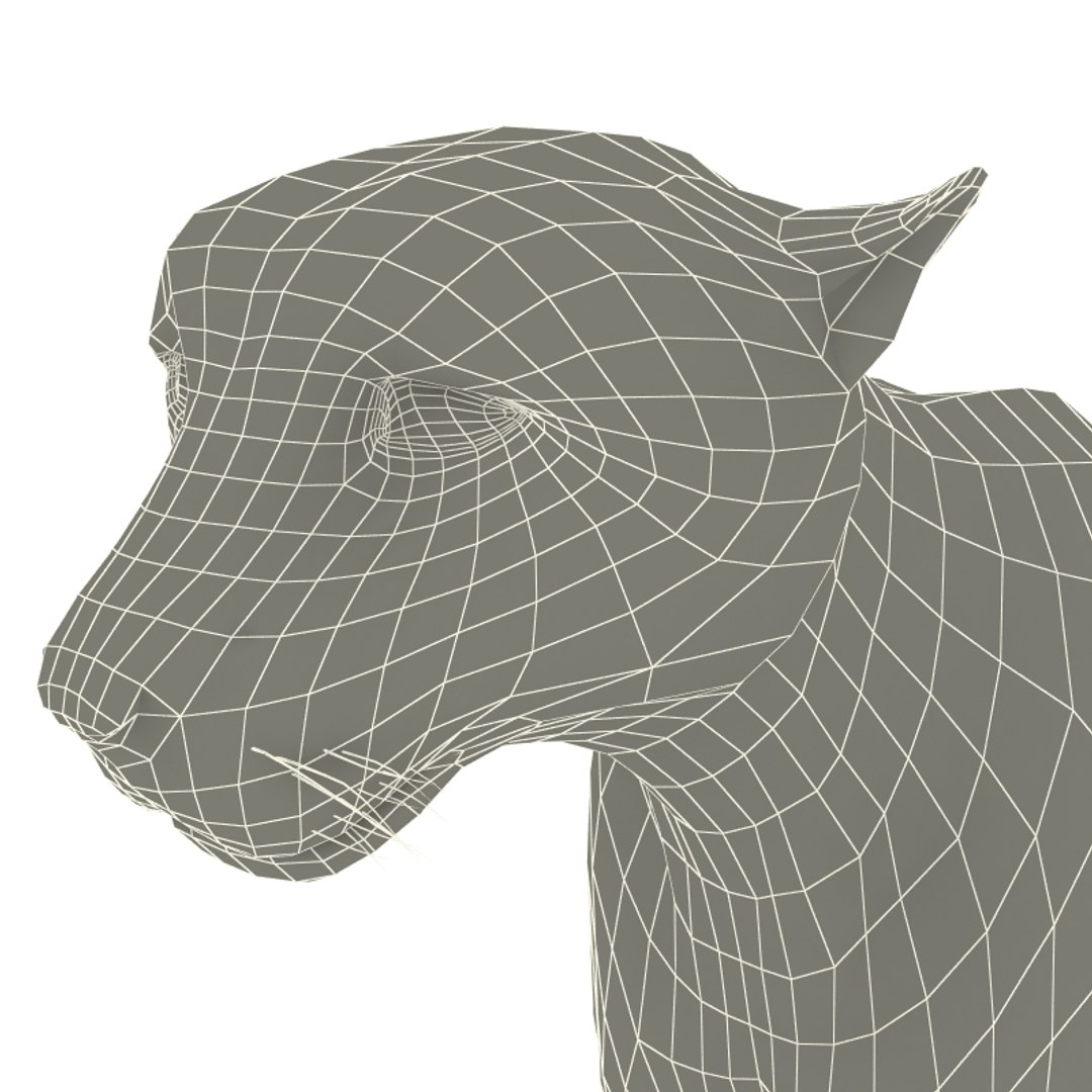 Maya Cheetah Modelled