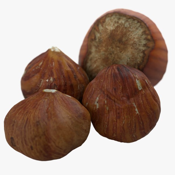 Hazelnuts shell 3D model - TurboSquid 1380871