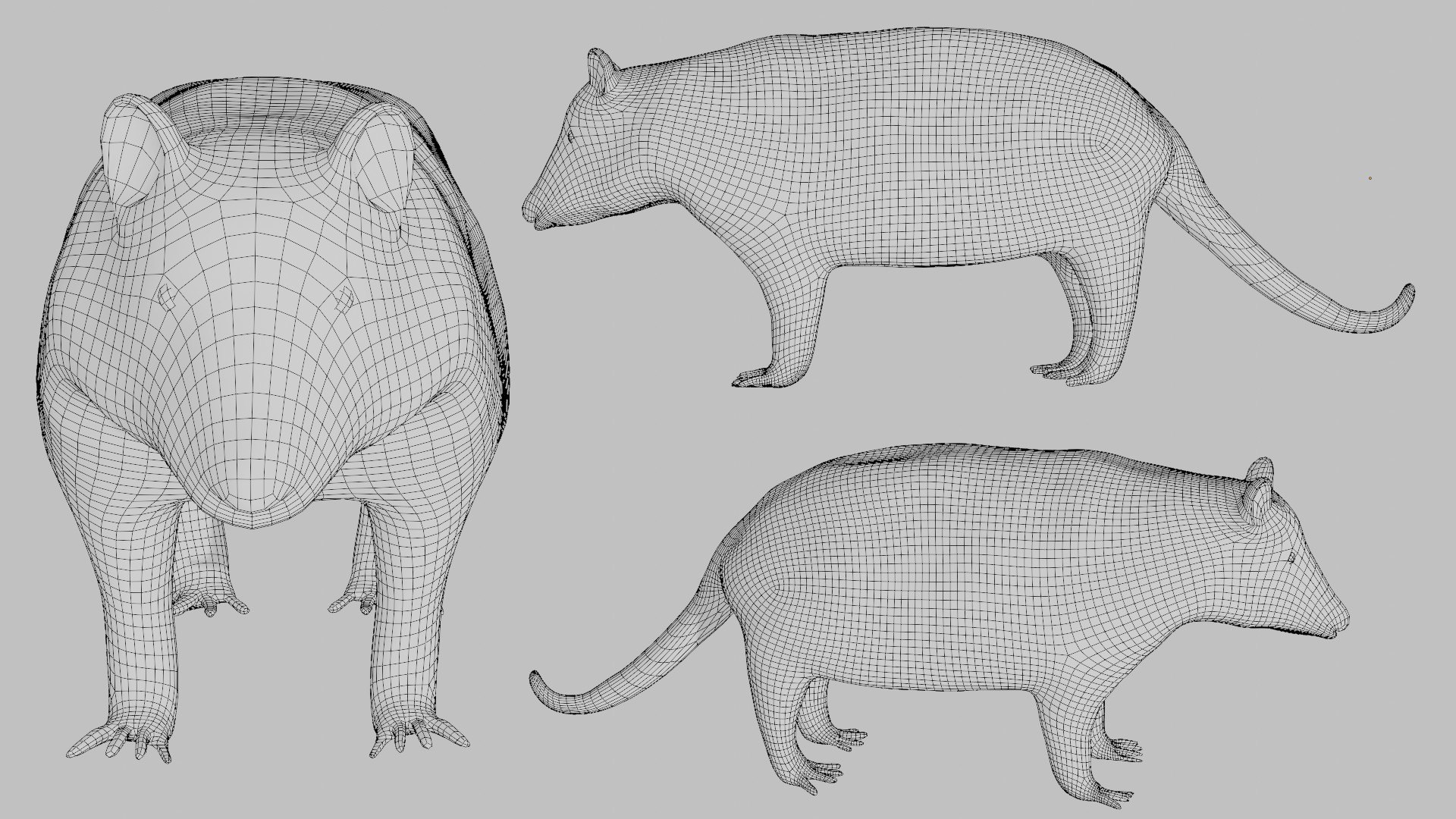 Fully Rigged Low Polygon Possum Opossum Model - TurboSquid 1724846