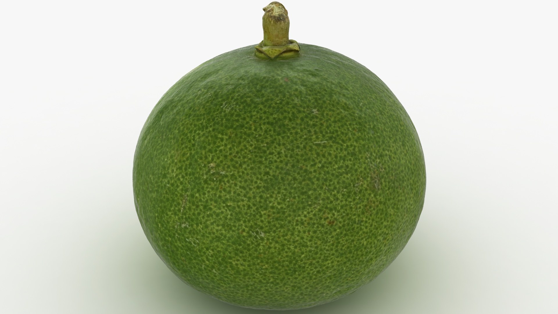 3D lime small - TurboSquid 1691047