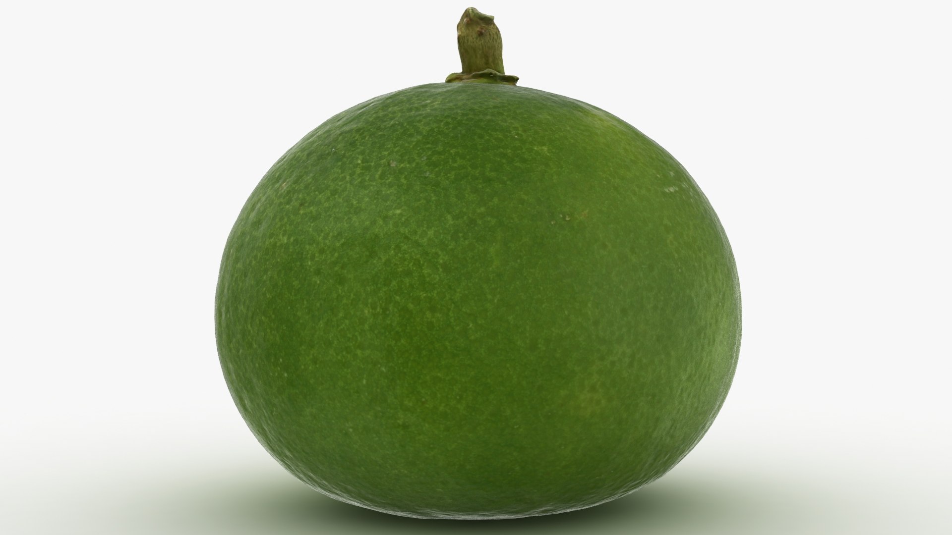 3D Lime Small - TurboSquid 1691047