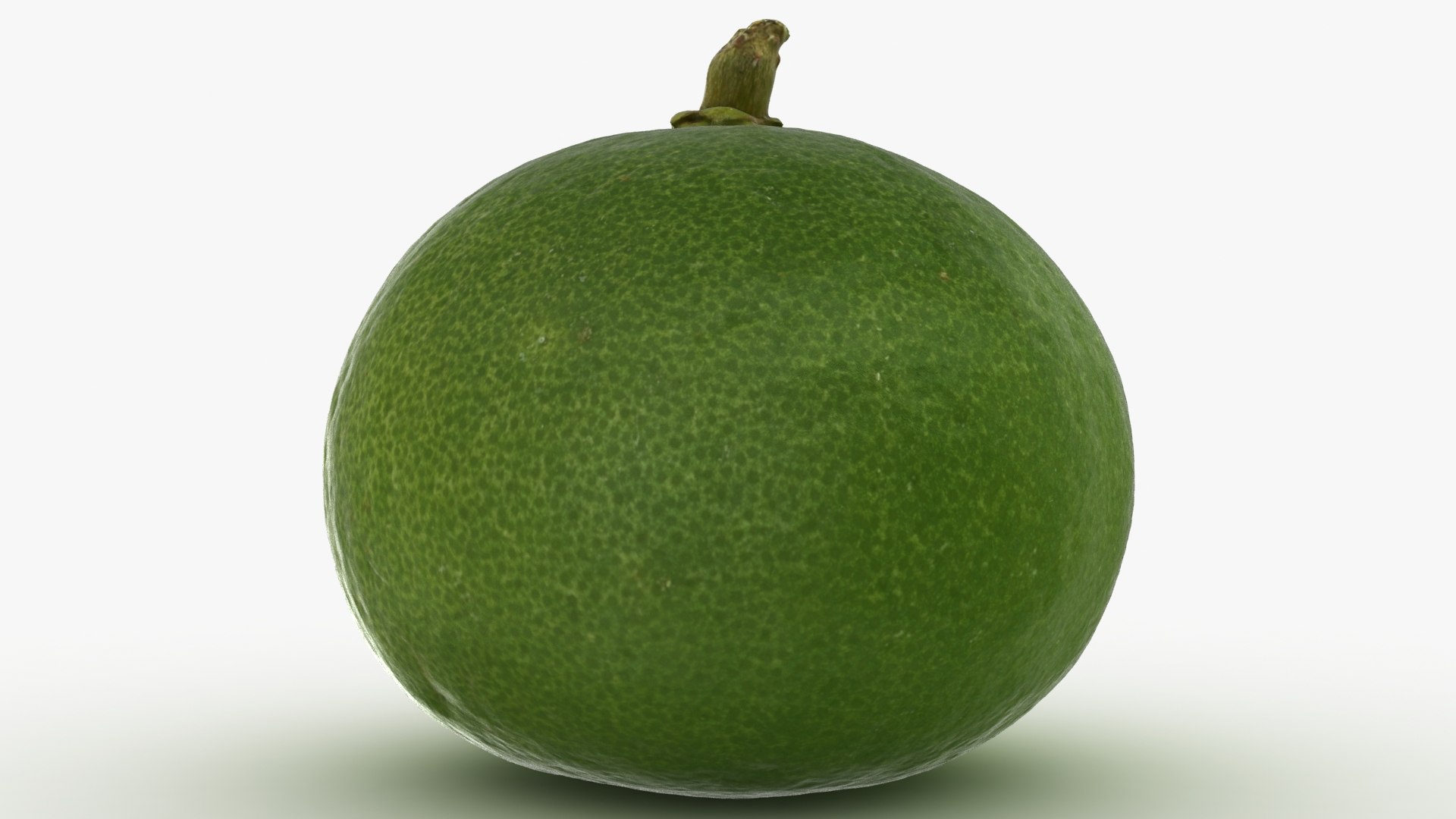 3D Lime Small - TurboSquid 1691047