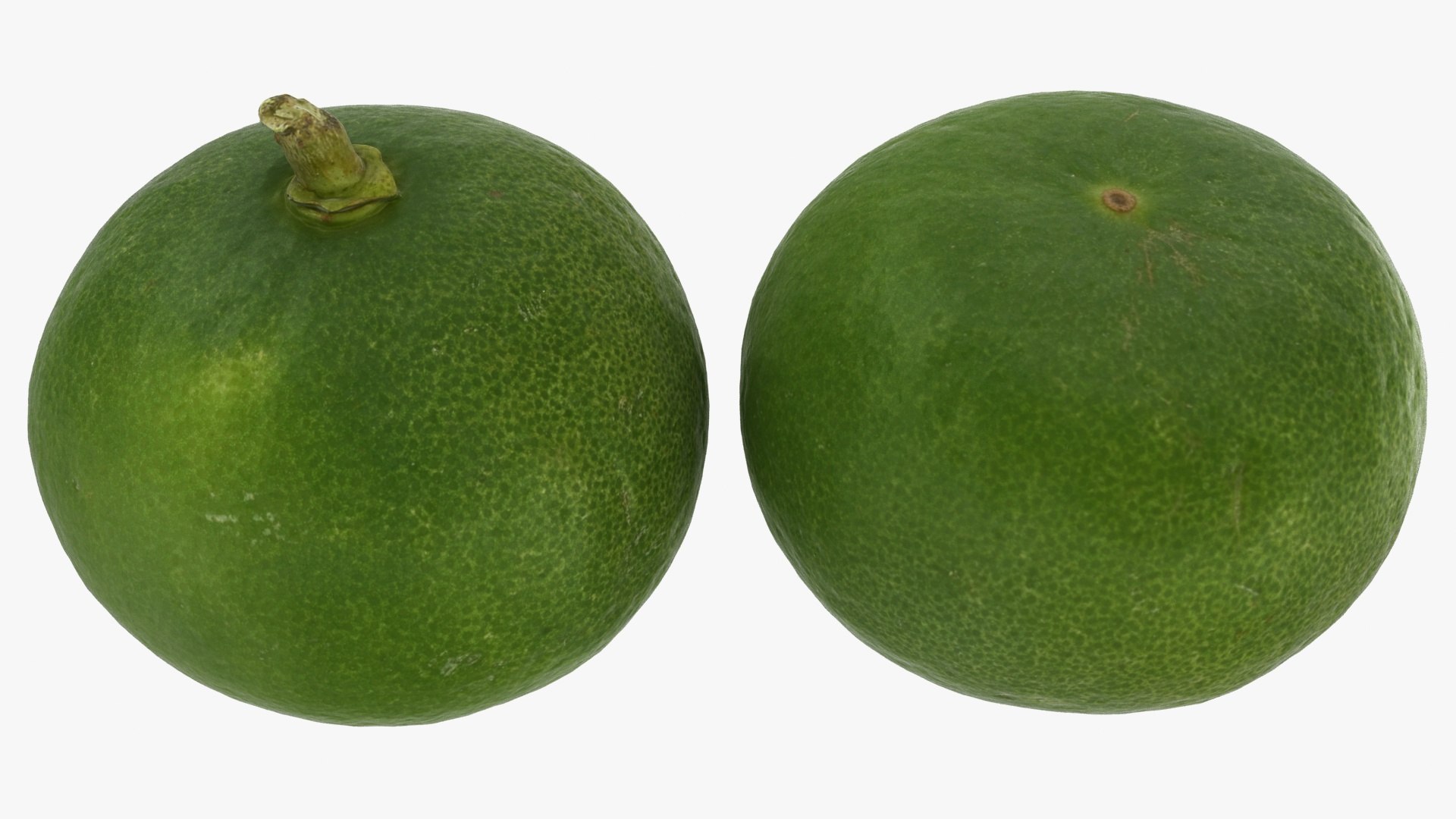 3D model lime small - TurboSquid 1693616