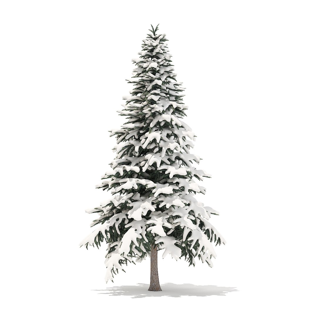 3D spruce tree snow 4 - TurboSquid 1273656