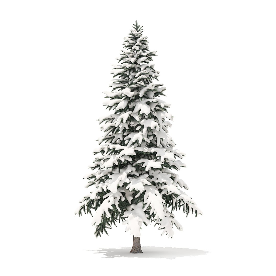 3D spruce tree snow 4 - TurboSquid 1273656