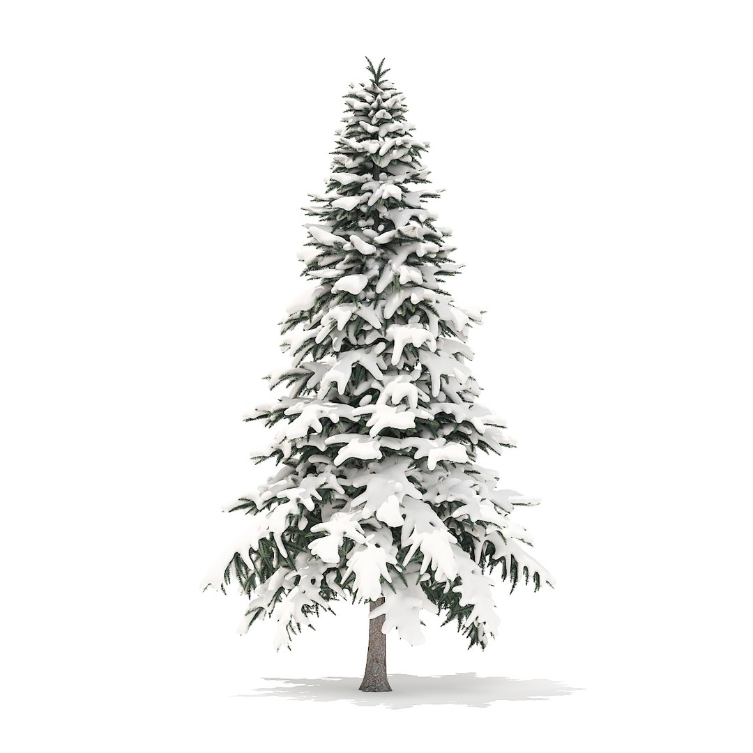 3D spruce tree snow 4 - TurboSquid 1273656