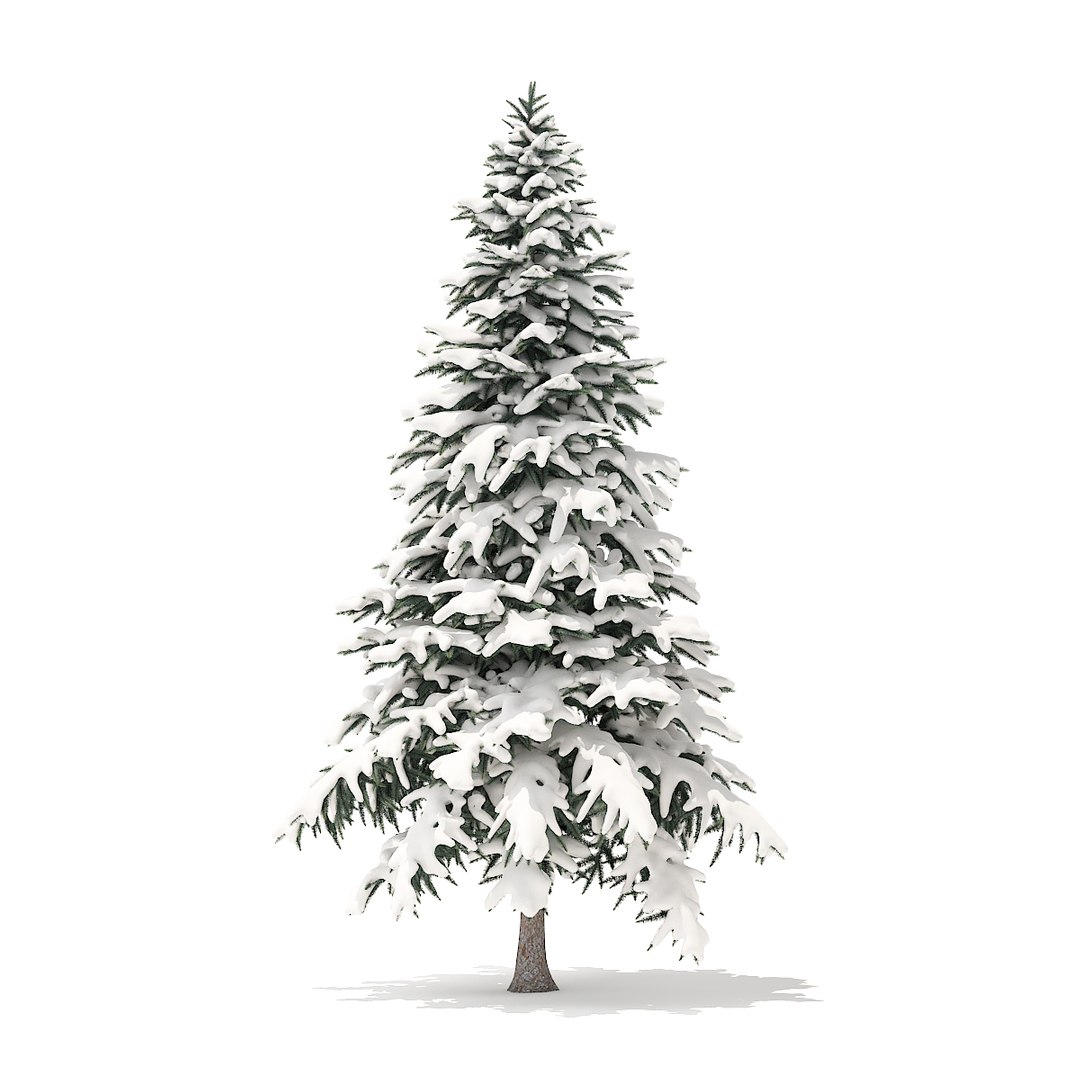 3D spruce tree snow 4 - TurboSquid 1273656