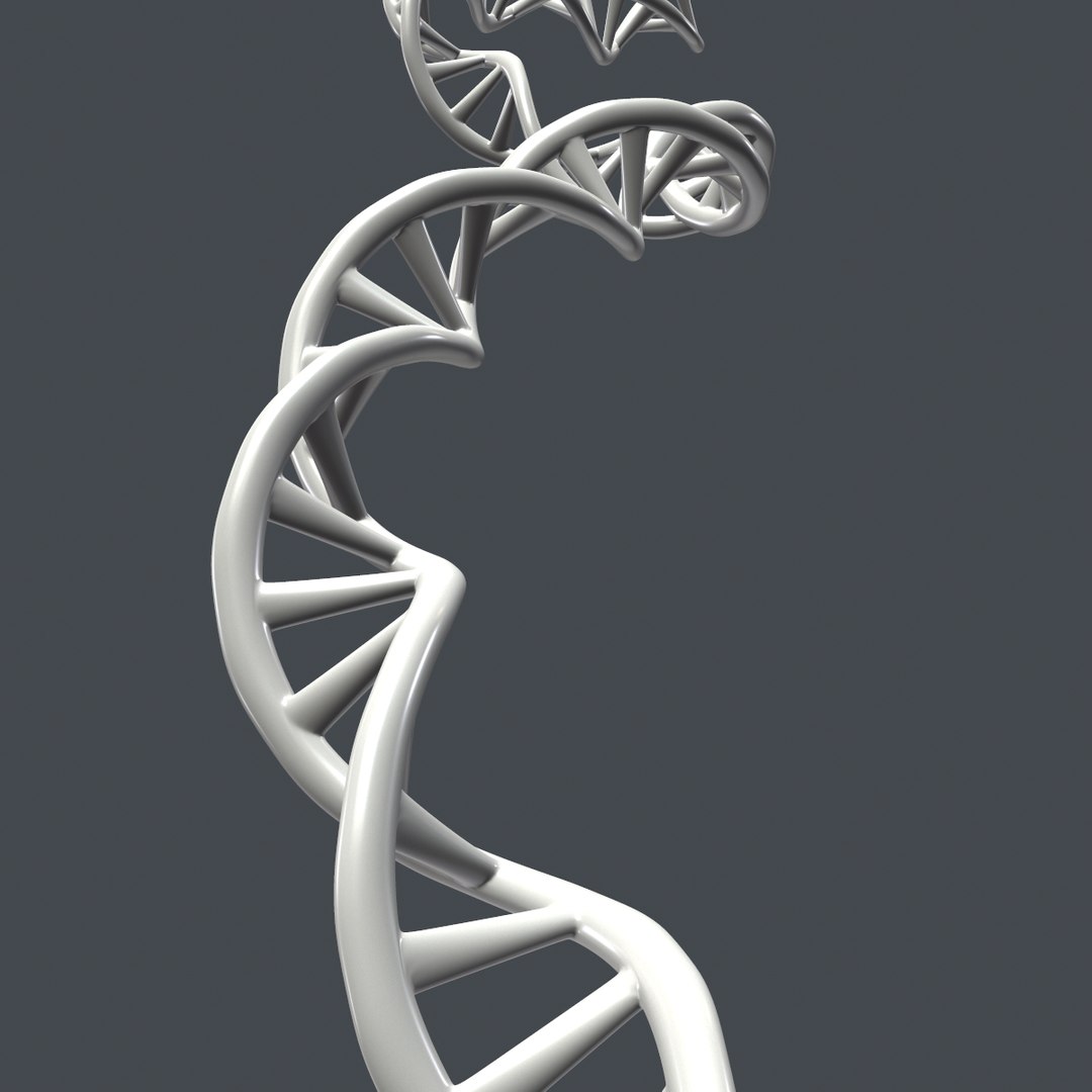 Dna Double Helix 3D - TurboSquid 1212463