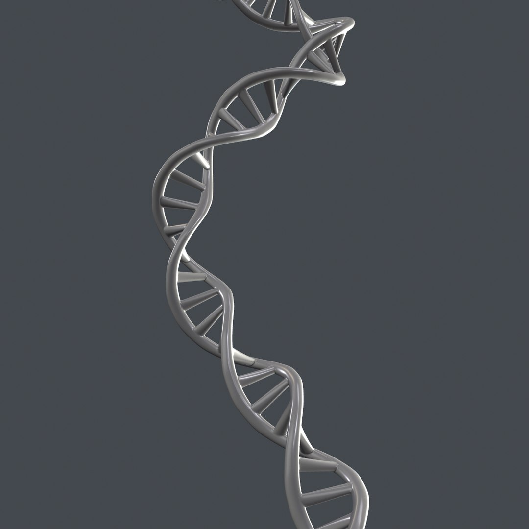 Dna Double Helix 3D - TurboSquid 1212463
