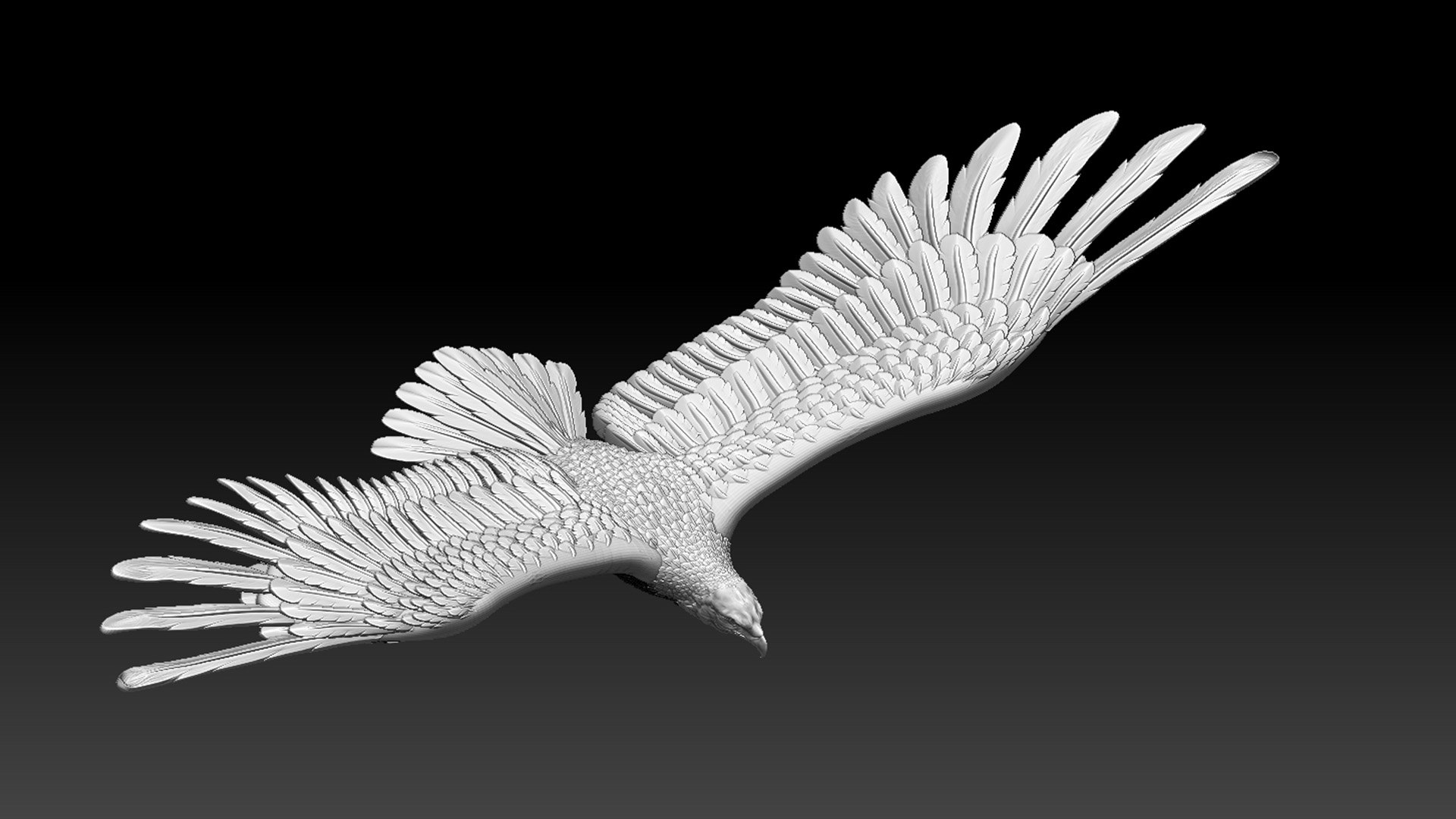 Eagle Model - TurboSquid 1901433
