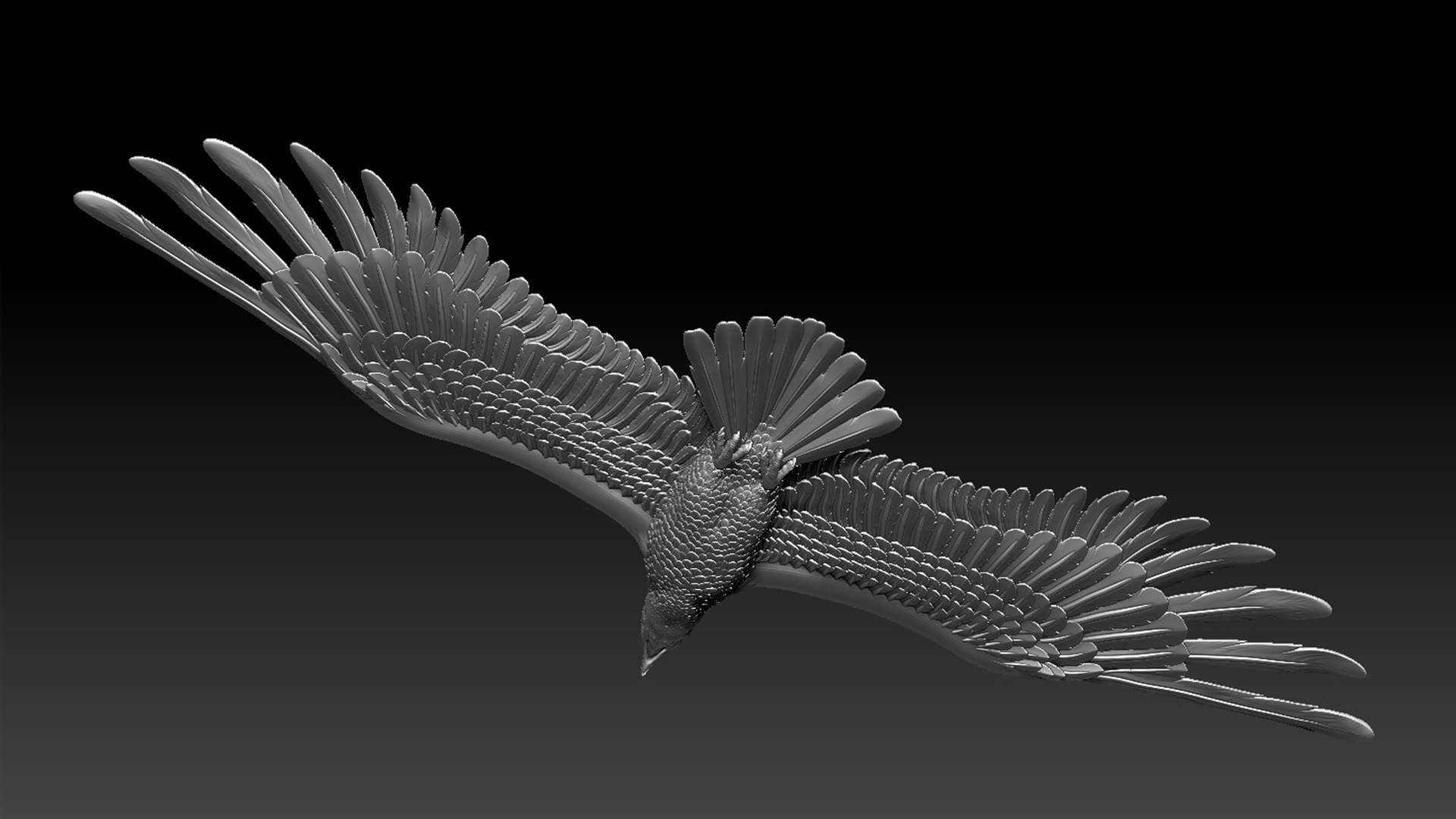 Eagle Model - TurboSquid 1901433