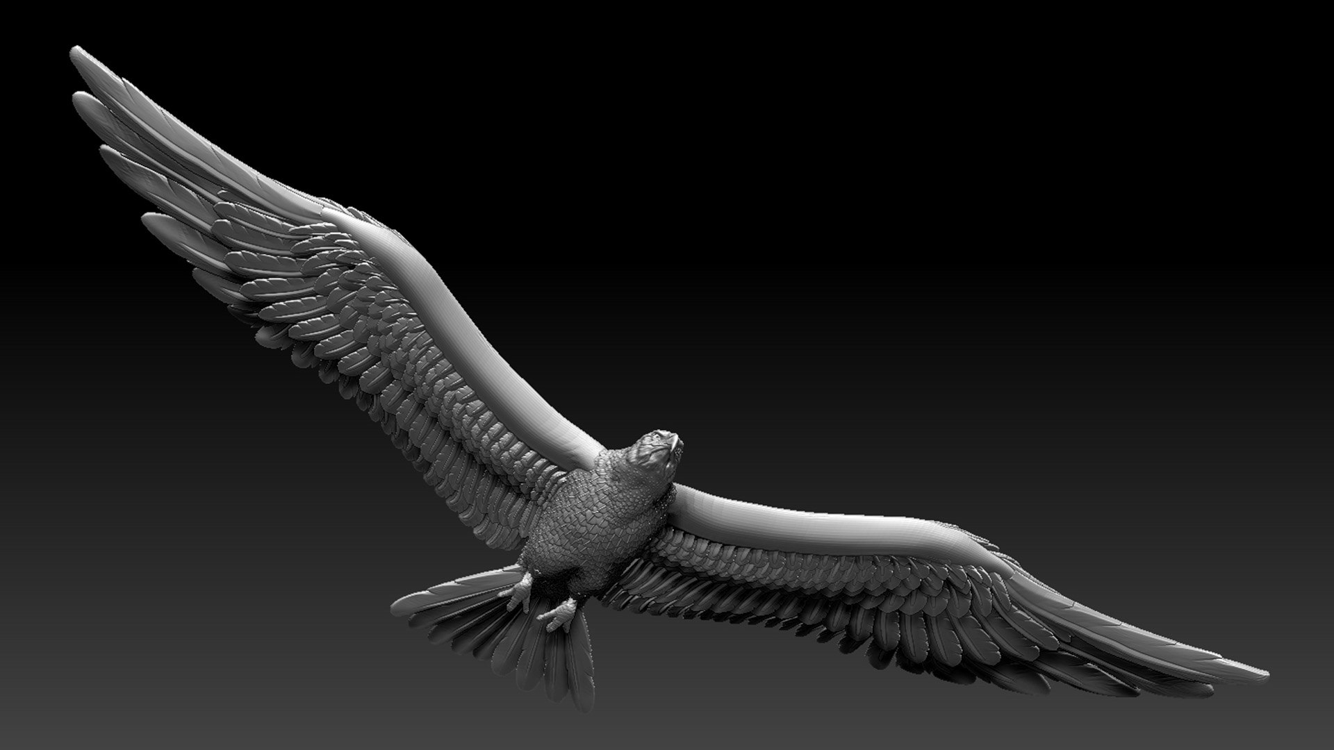 Eagle Model - TurboSquid 1901433