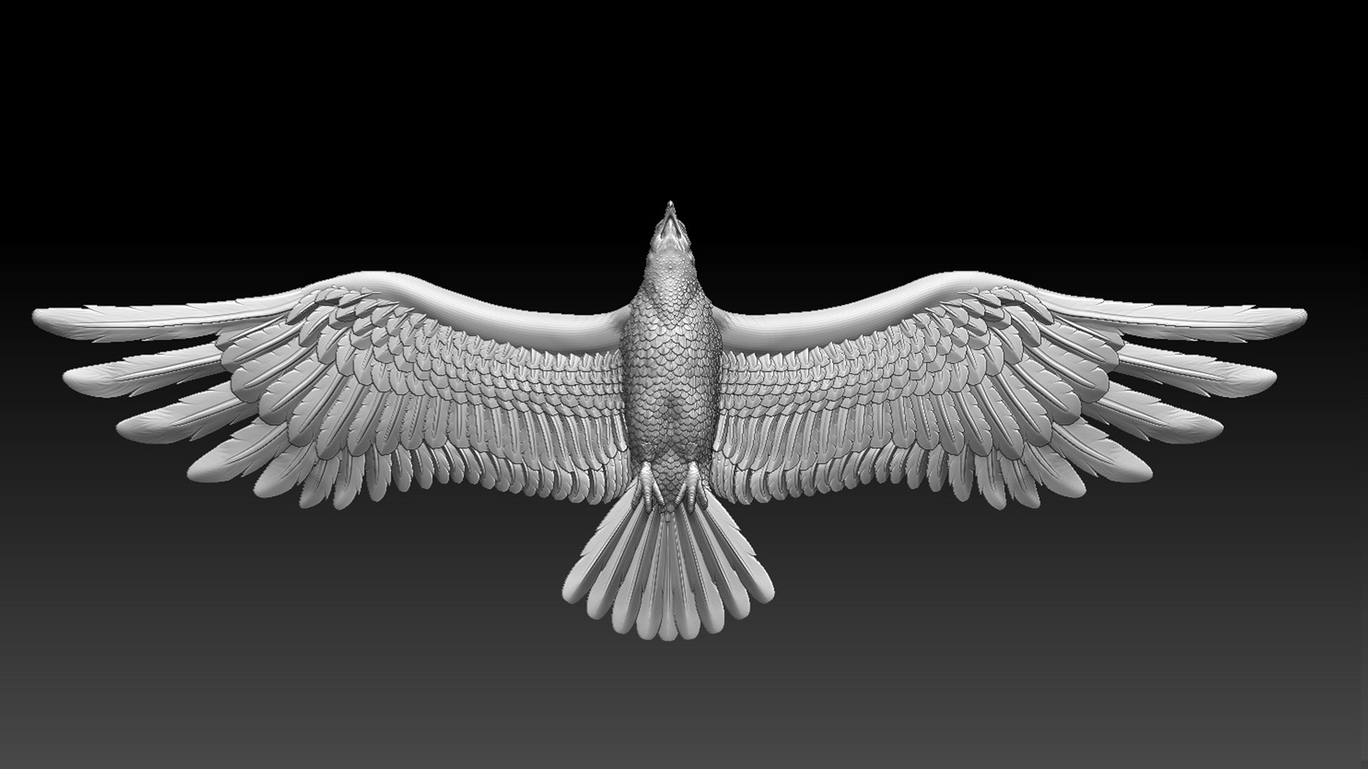 Eagle Model - TurboSquid 1901433