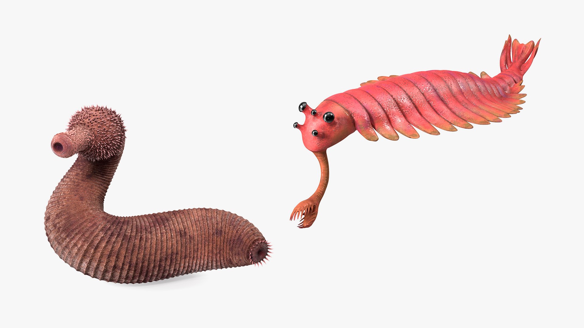 3D Rigged Extinct Animals Collection - TurboSquid 2187116