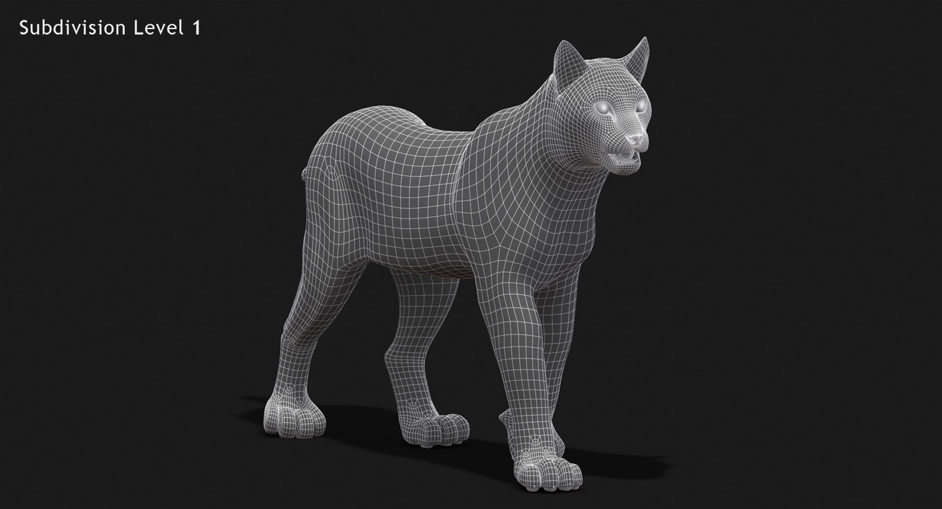 Max Eurasian Lynx Fur Rigging Animation