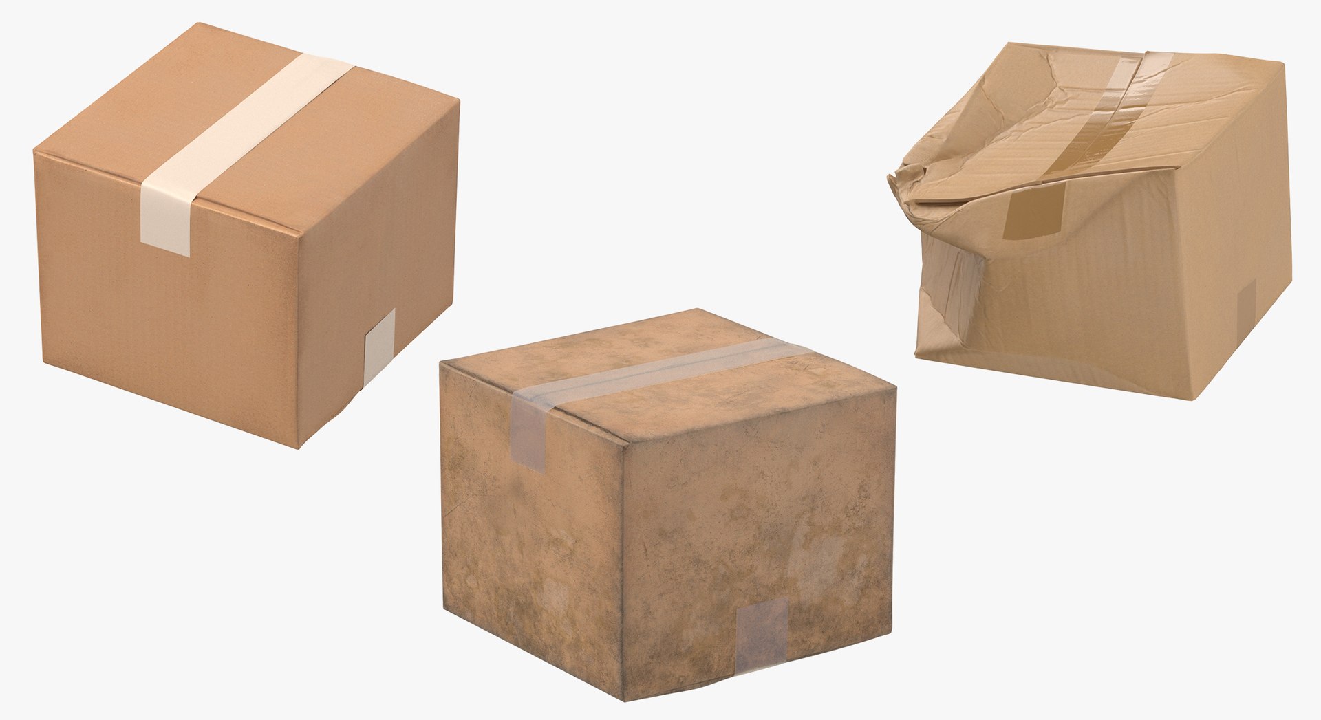 3D Tailgating - 42 Models - TurboSquid 1920910