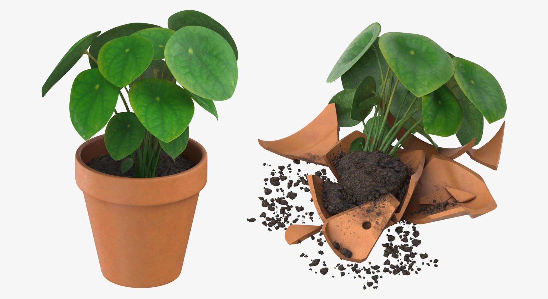 3D Tailgating - 42 Models - TurboSquid 1920910