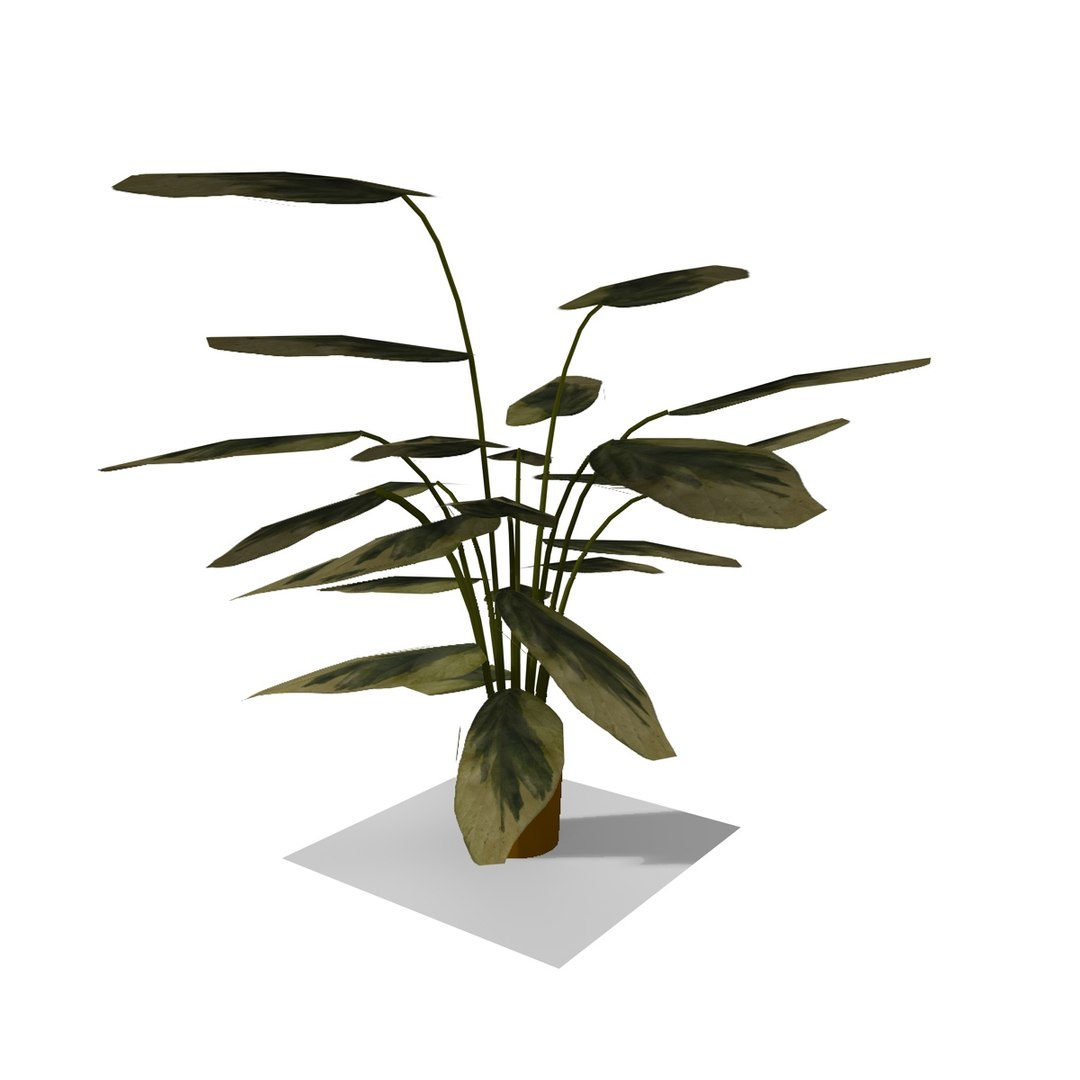 Interior Plant 3d C4d
