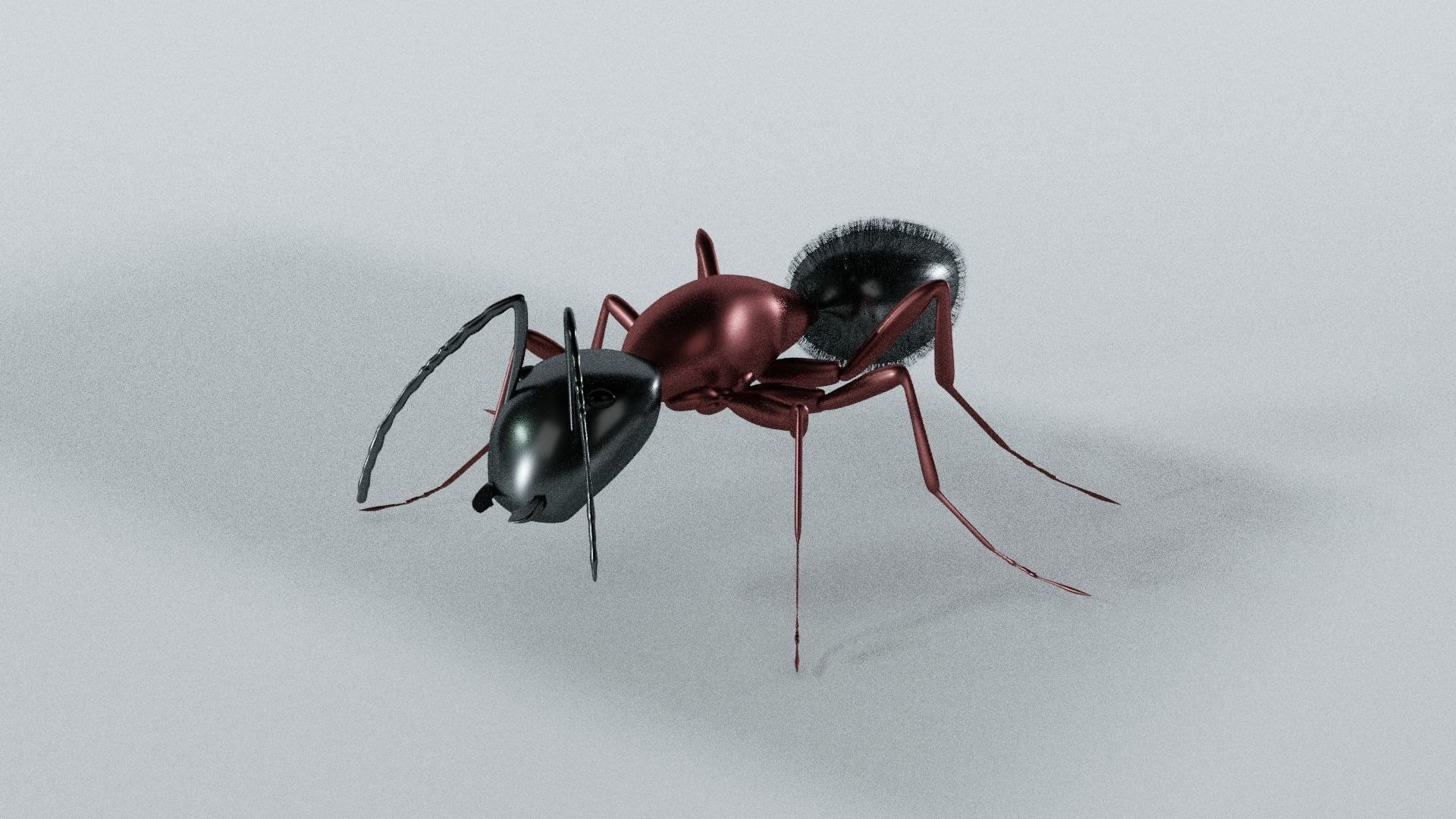 Ant 3D Model - TurboSquid 2133530