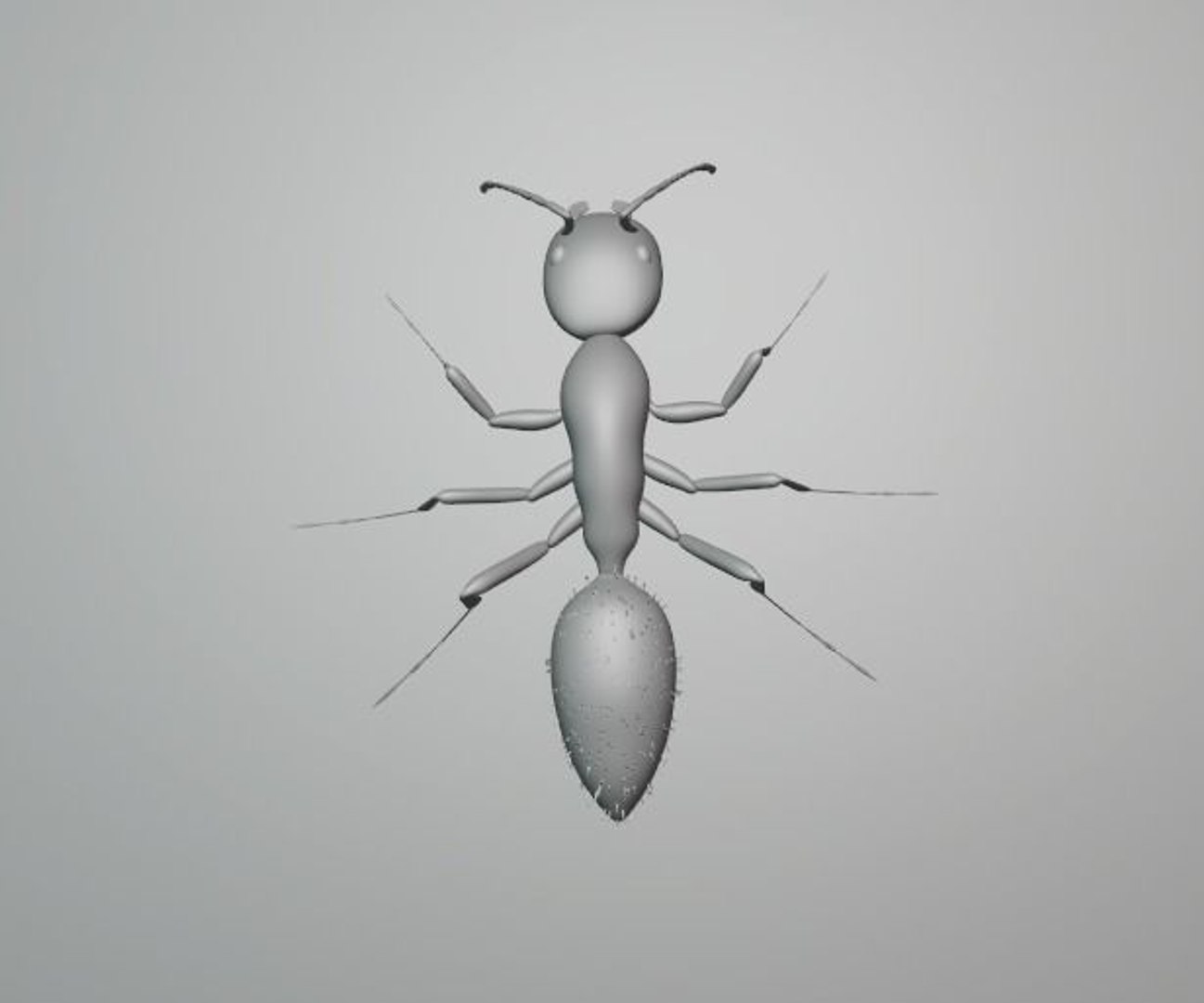 Ant 3D Model - TurboSquid 2133530