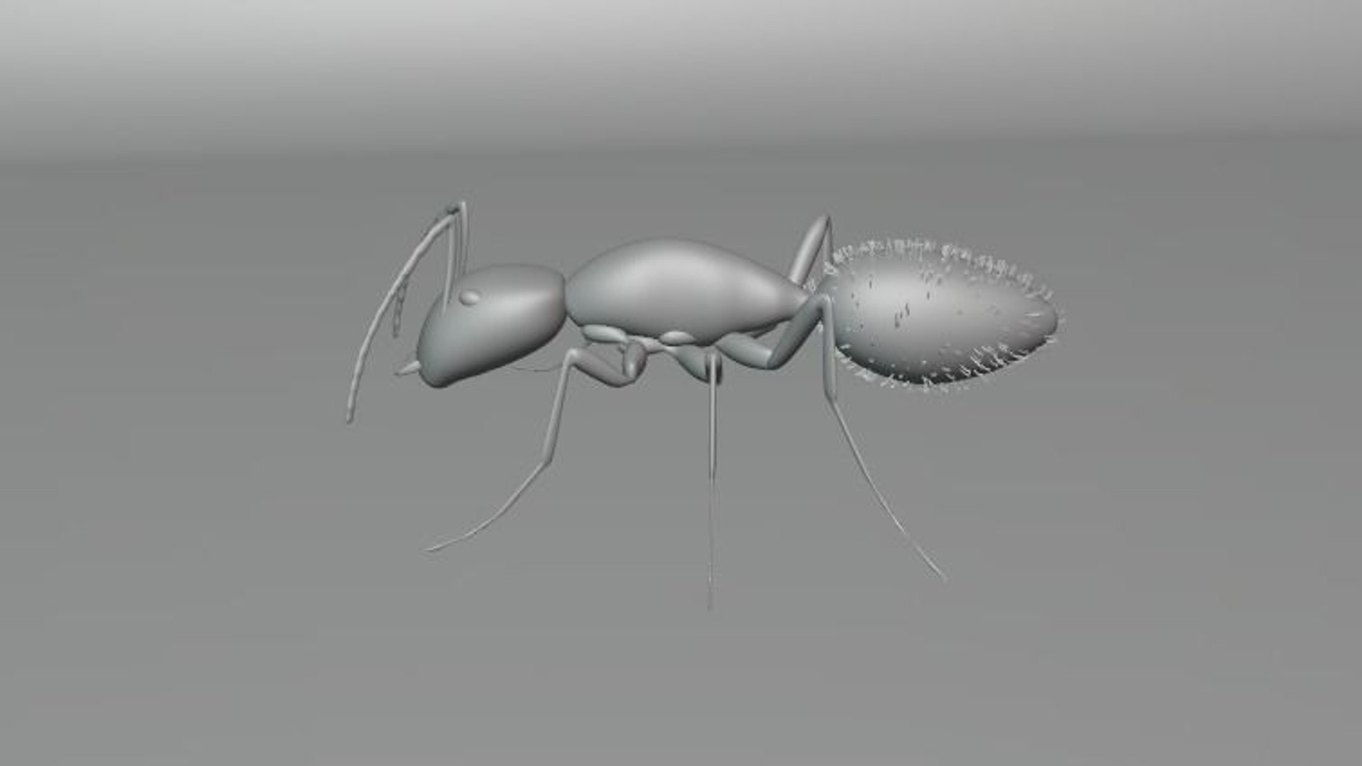 Ant 3D Model - TurboSquid 2133530