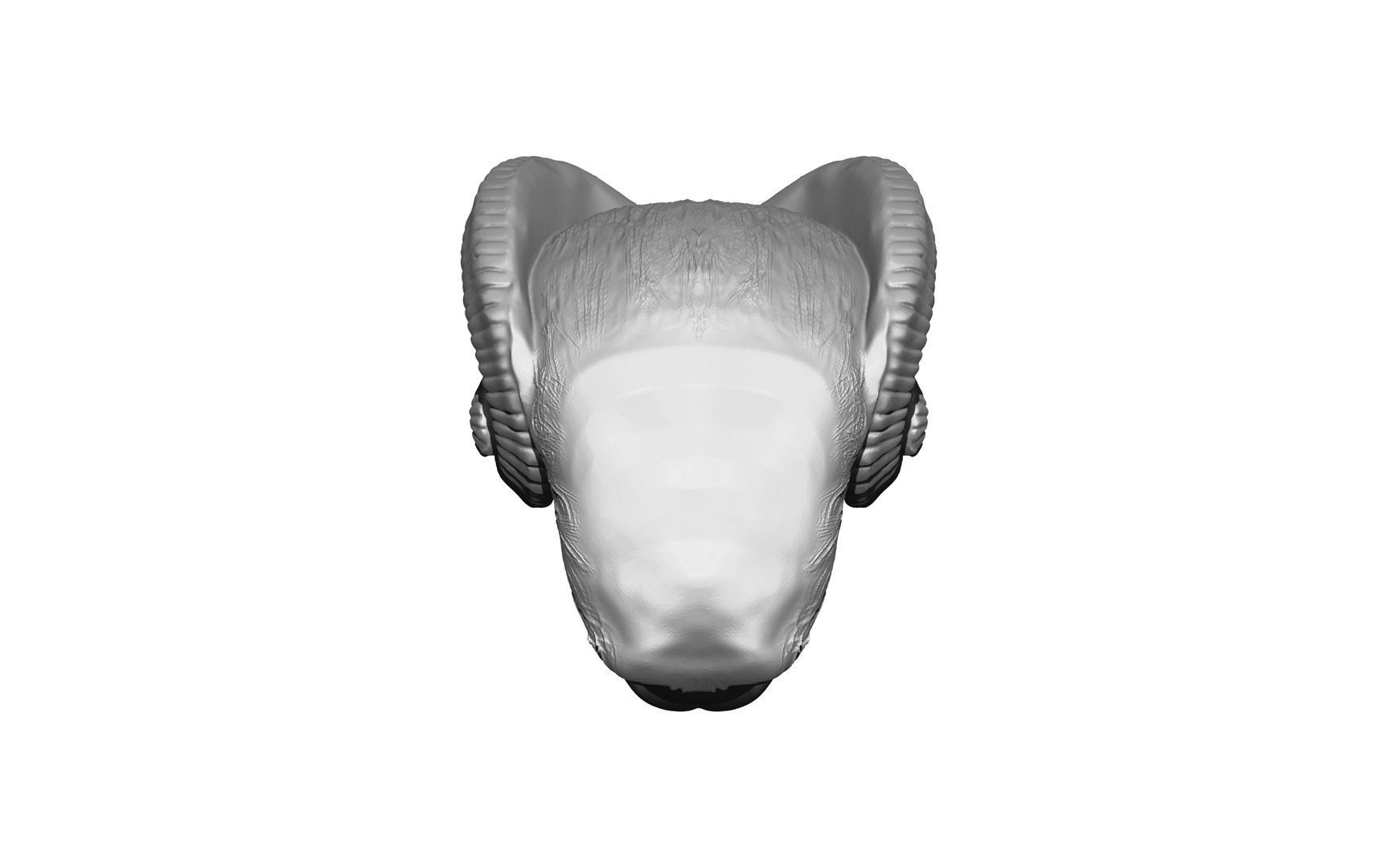 3D Ram - TurboSquid 2092882