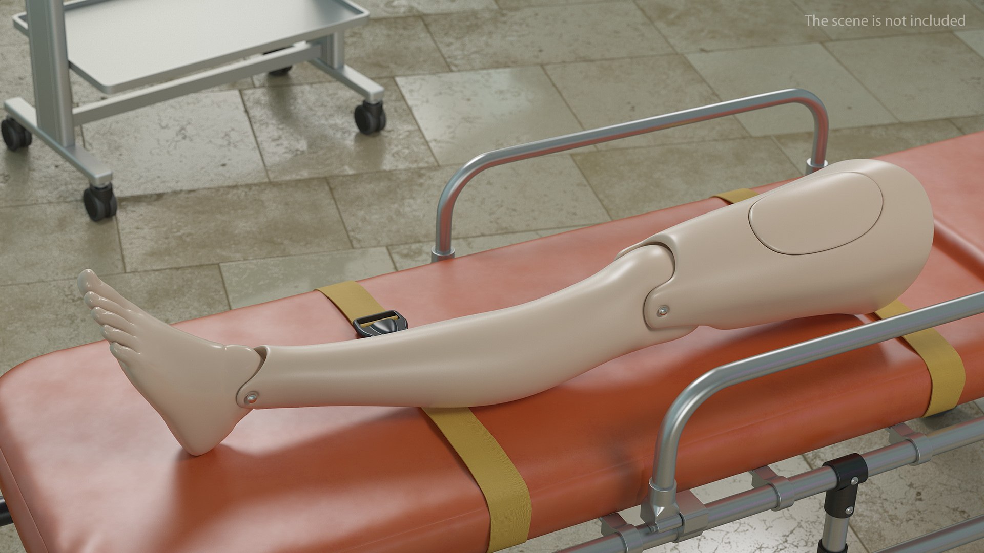 3D Aid Training Manikin Leg - TurboSquid 1487430