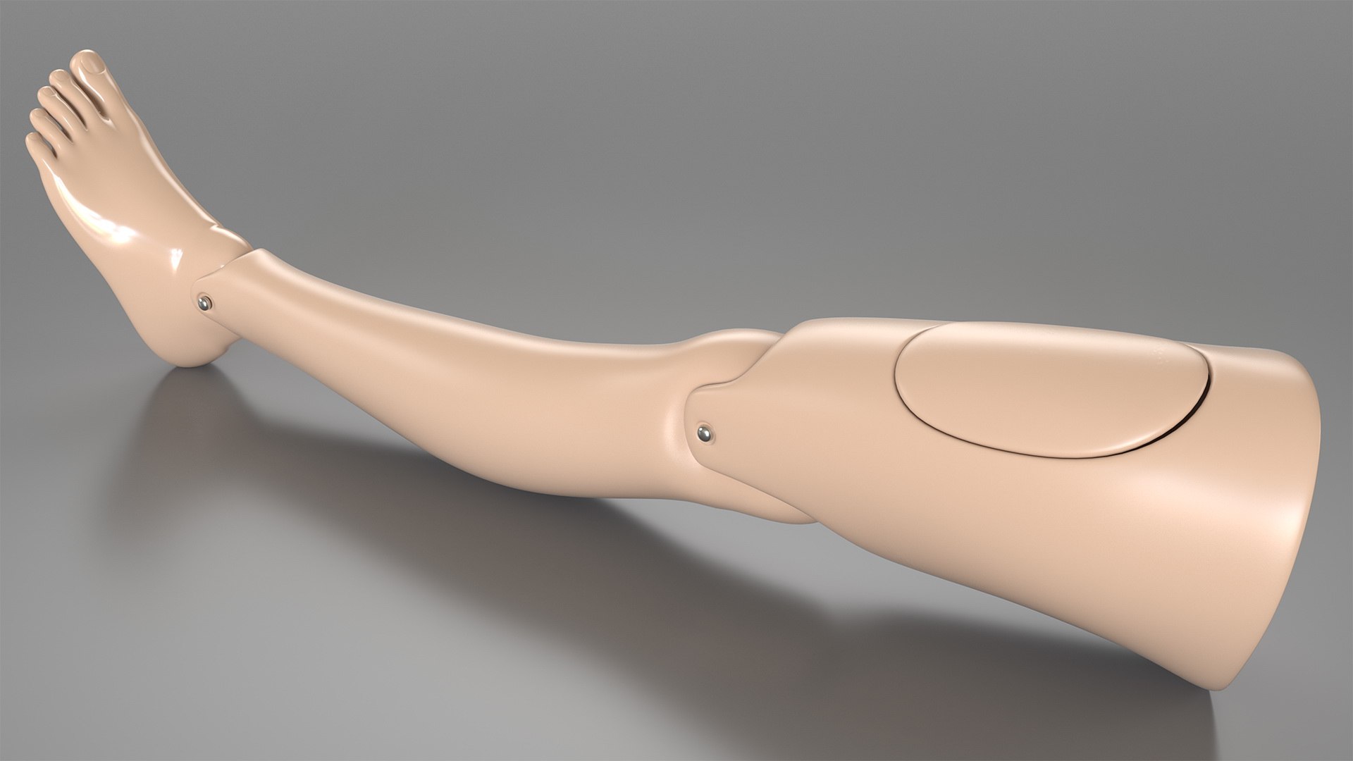 3D Aid Training Manikin Leg - TurboSquid 1487430