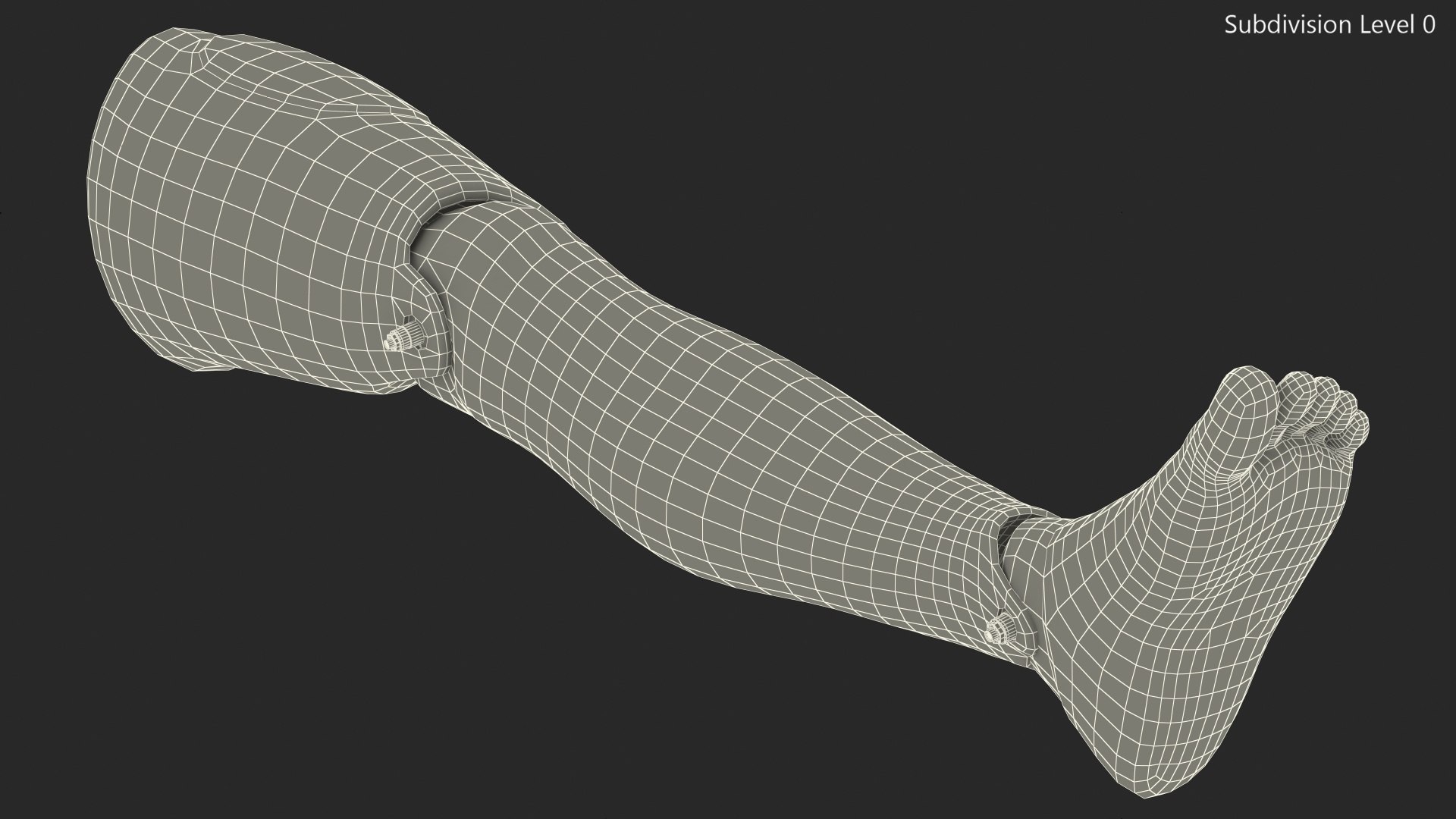 3D Aid Training Manikin Leg - TurboSquid 1487430