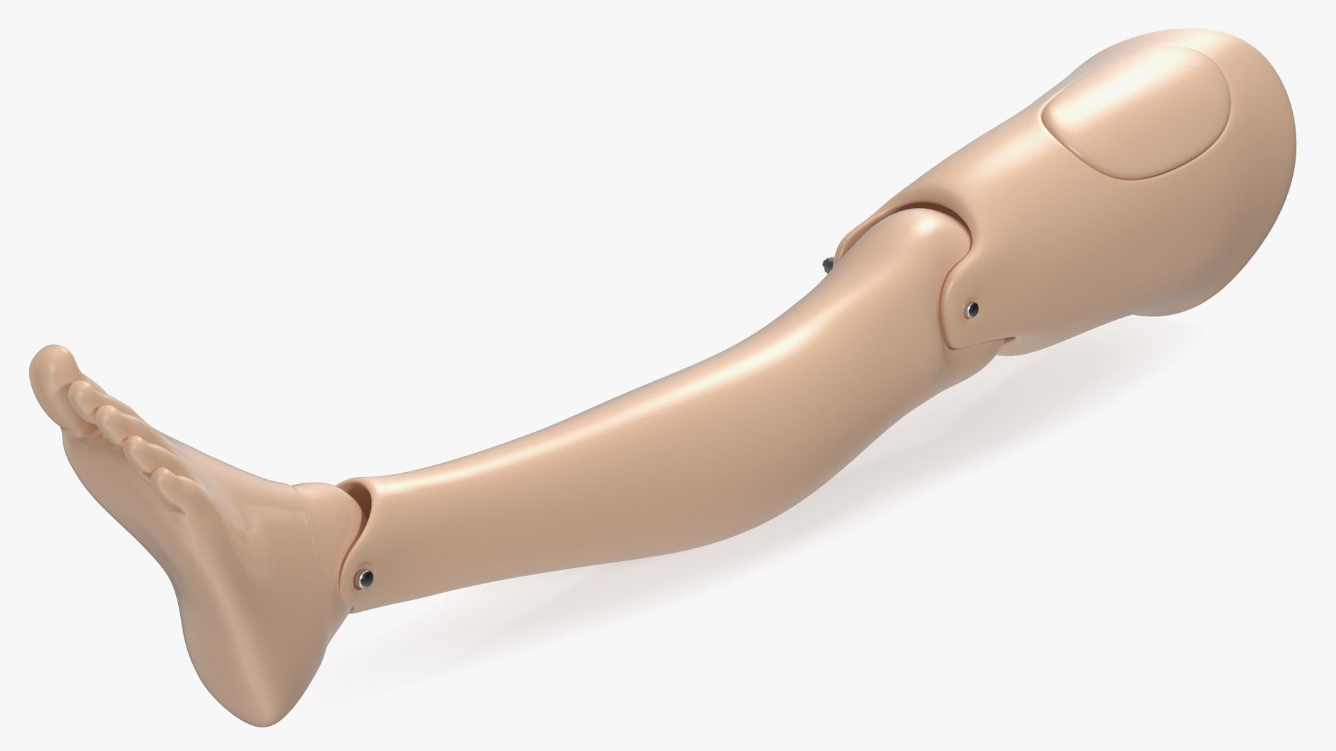 3D Aid Training Manikin Leg - TurboSquid 1487430