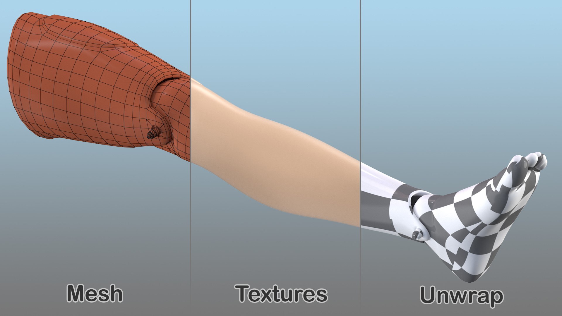 3D Aid Training Manikin Leg - TurboSquid 1487430