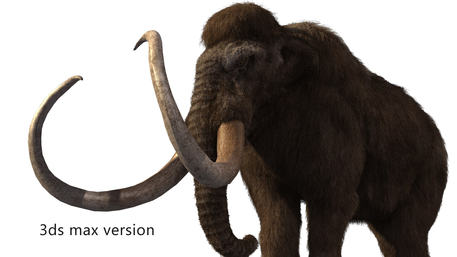 Mammoth 3D - TurboSquid 2180932