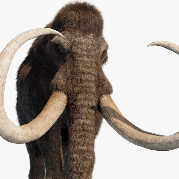 Mamut 3D Modelos para Descargar | TurboSquid