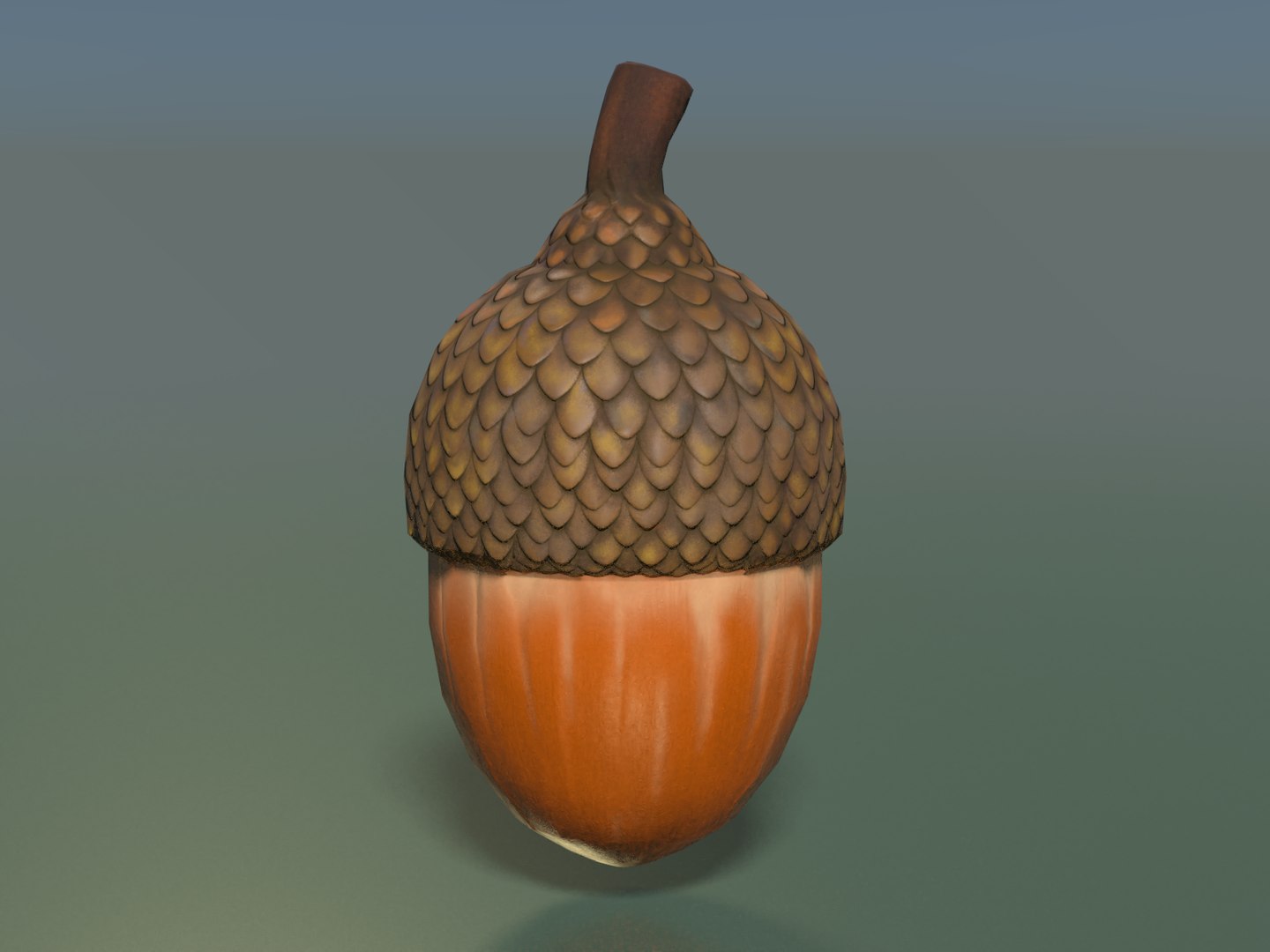 3D Acorn Model - TurboSquid 1254349