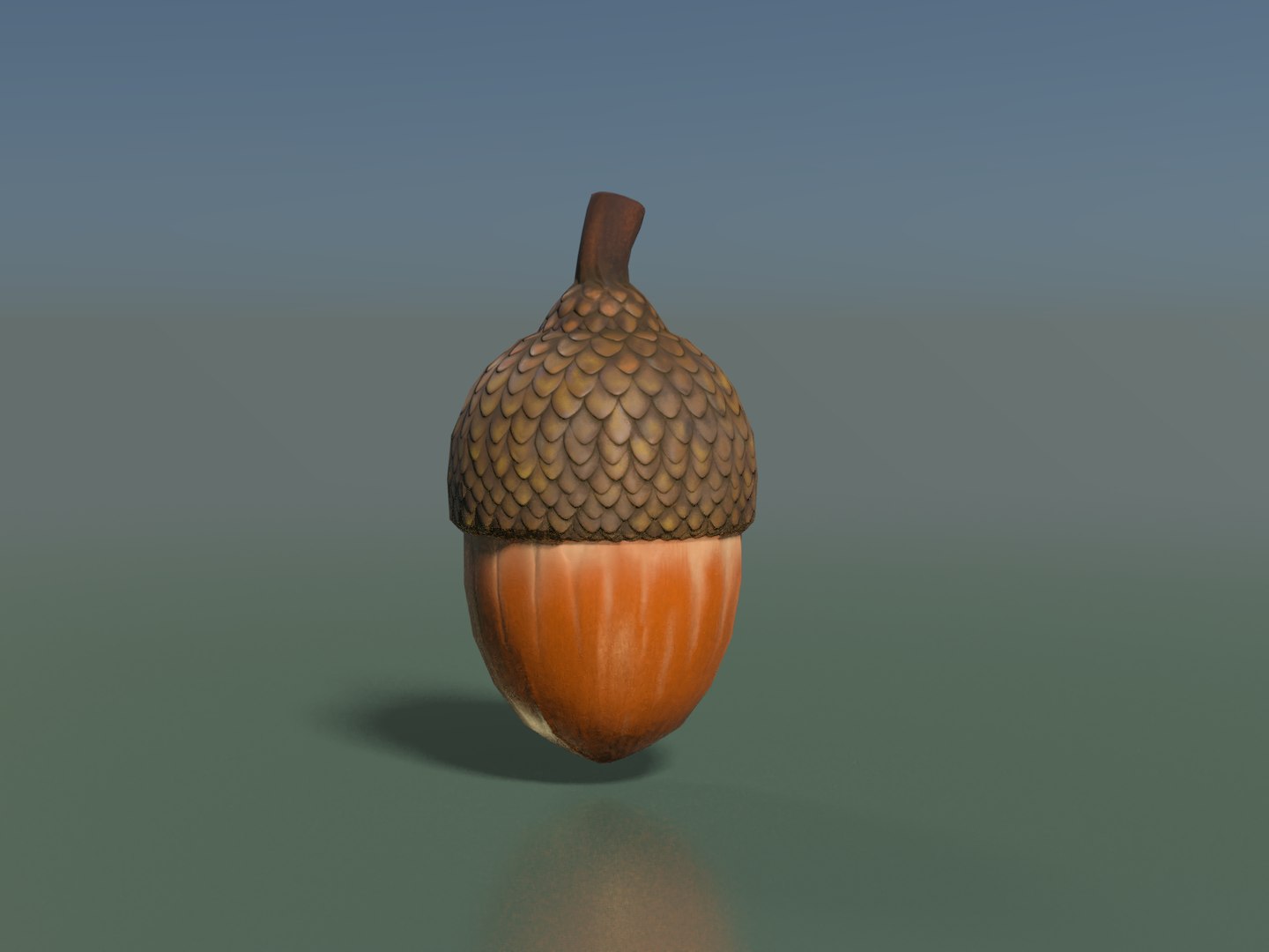 3D Acorn Model - TurboSquid 1254349