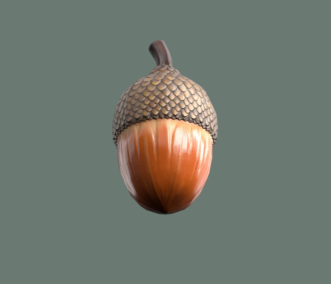 3D Acorn Model - TurboSquid 1254349