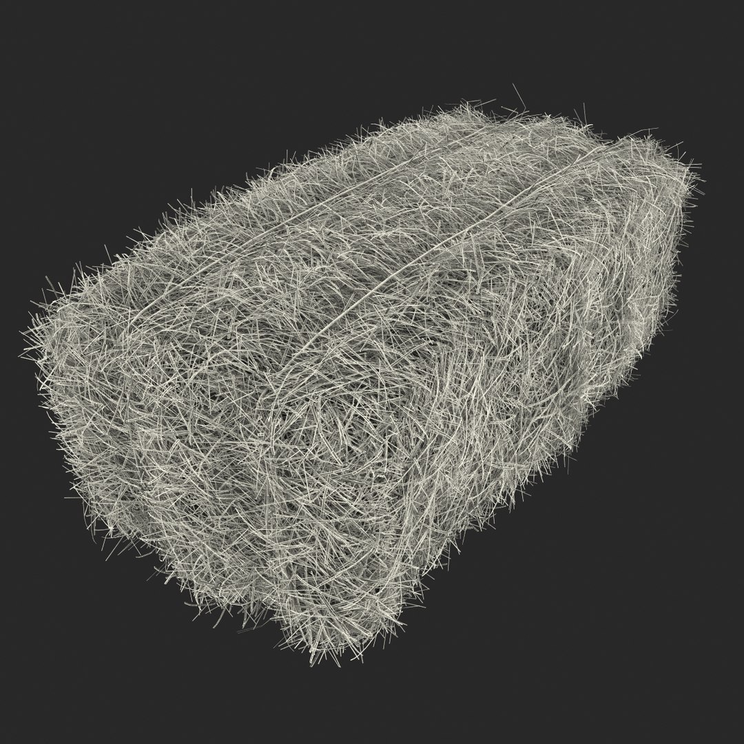 3d Model Hay Bale