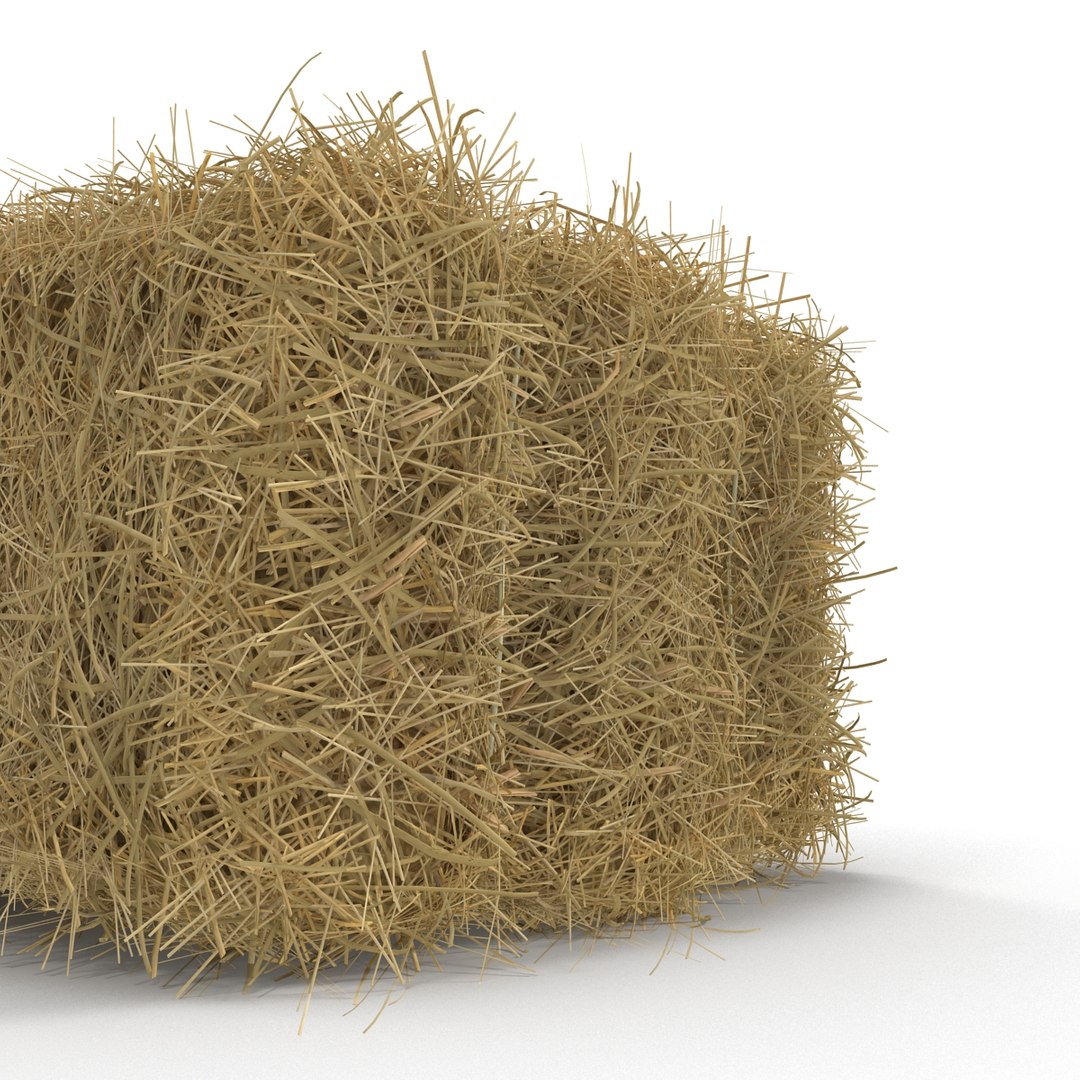 3d Model Hay Bale