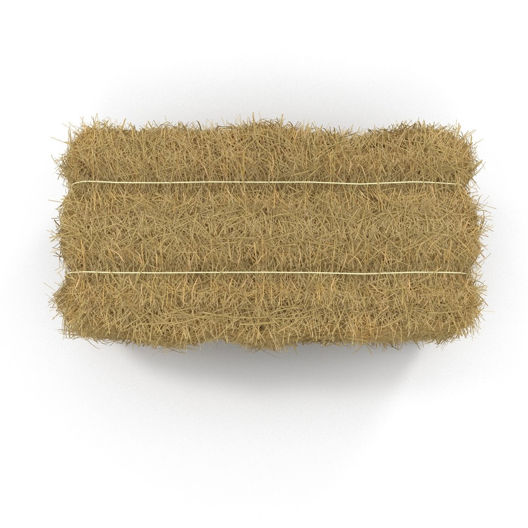 3d Model Hay Bale