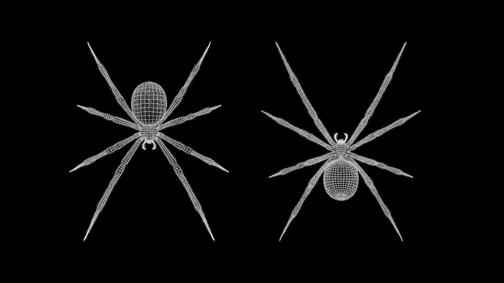 Animated Black Widow Spider Model - TurboSquid 2147485