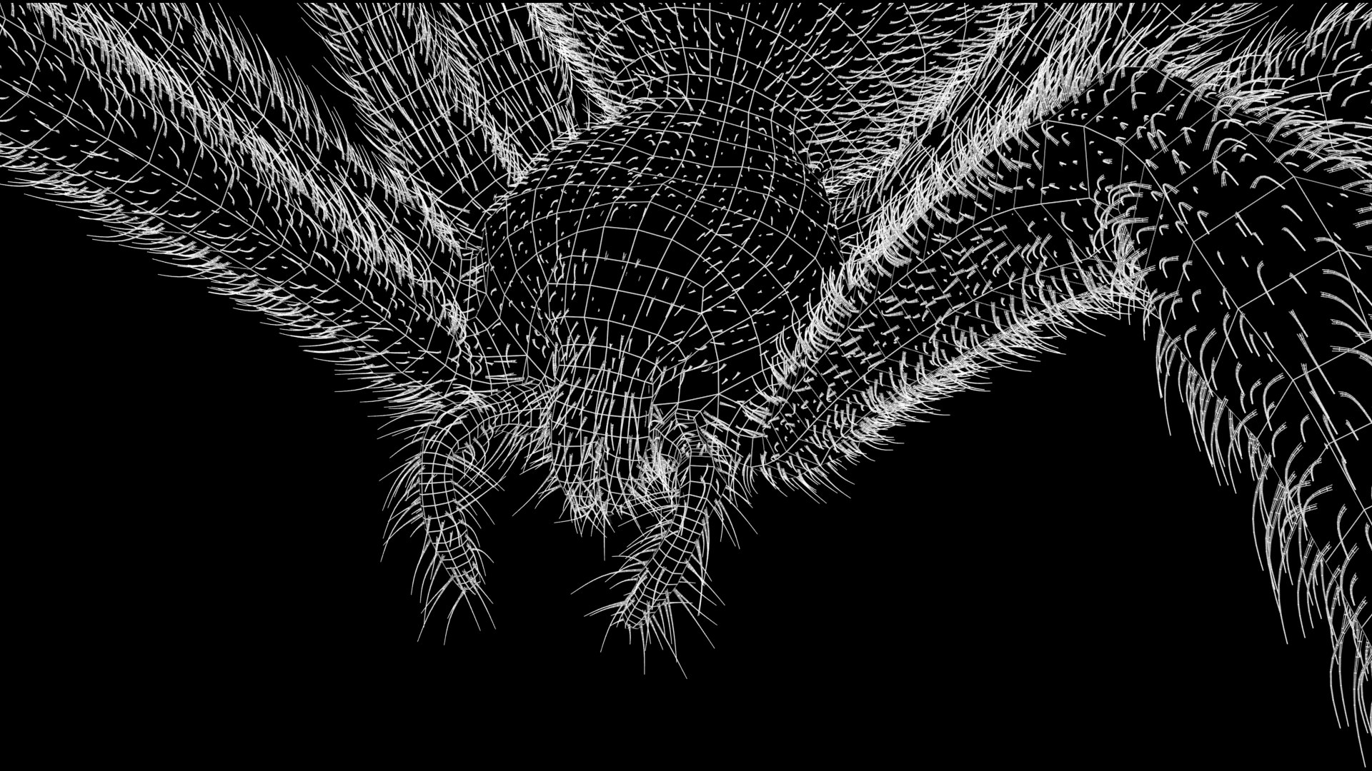 Animated Black Widow Spider Model - TurboSquid 2147485