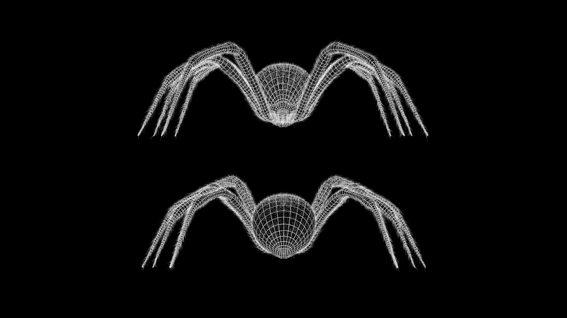 Animated Black Widow Spider Model - TurboSquid 2147485