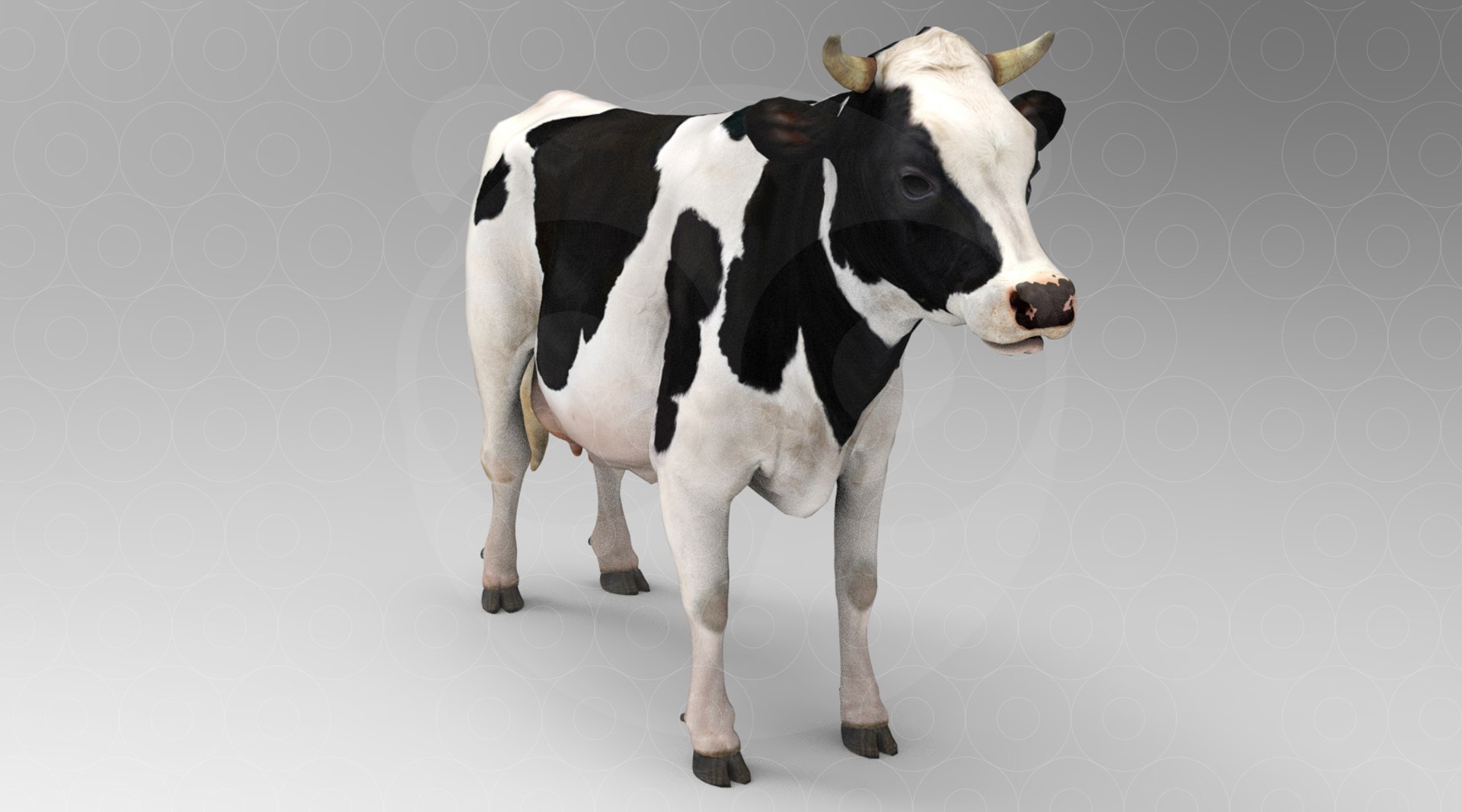 3D Milk Cow - Animated Model - TurboSquid 2110186
