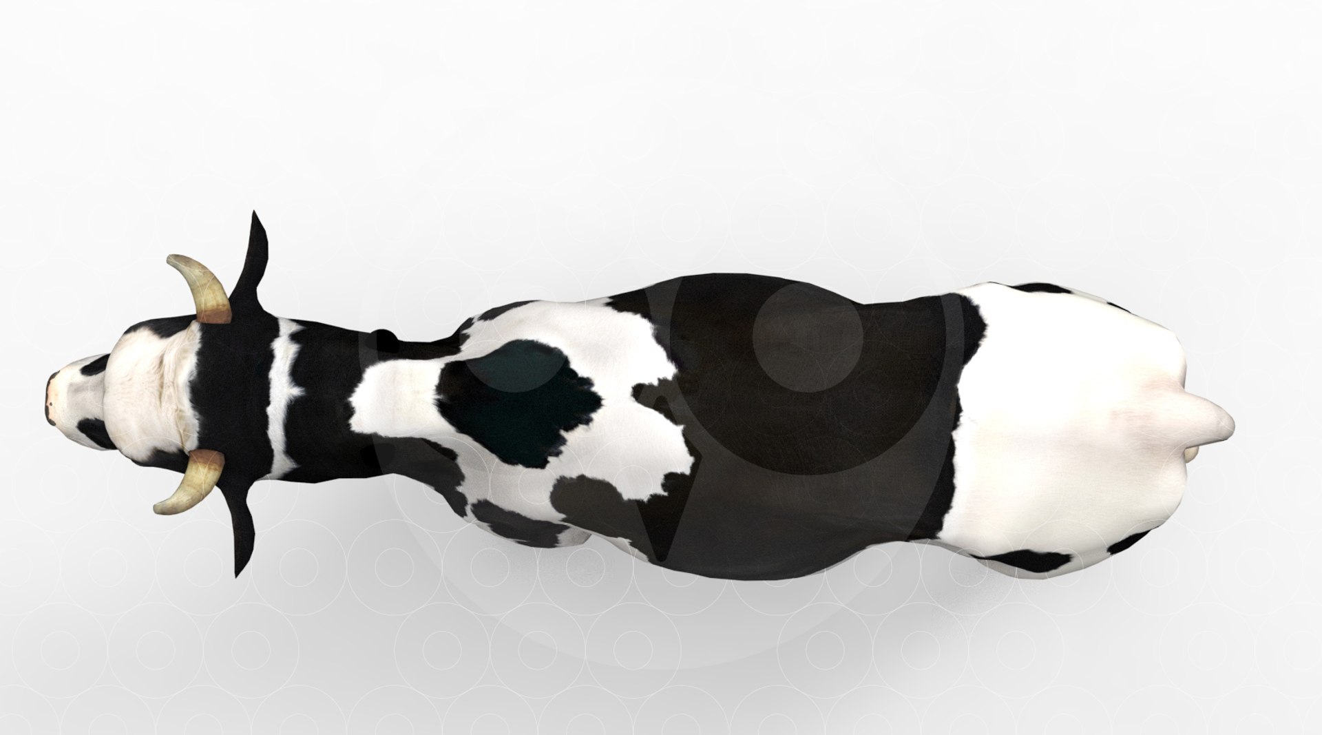 3D Milk Cow - Animated Model - TurboSquid 2110186